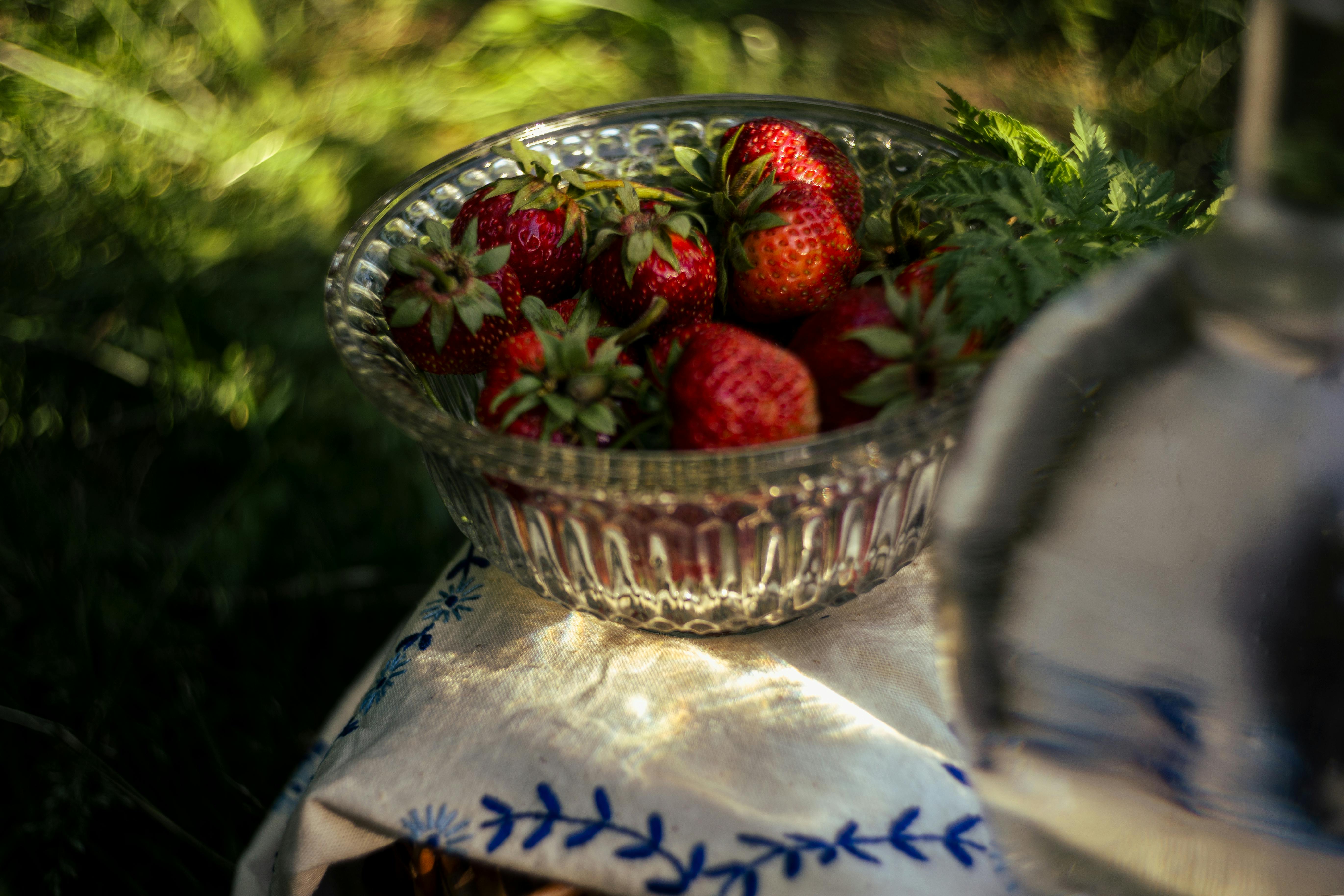 Vitiman C Photos, Download The BEST Free Vitiman C Stock Photos & HD Images