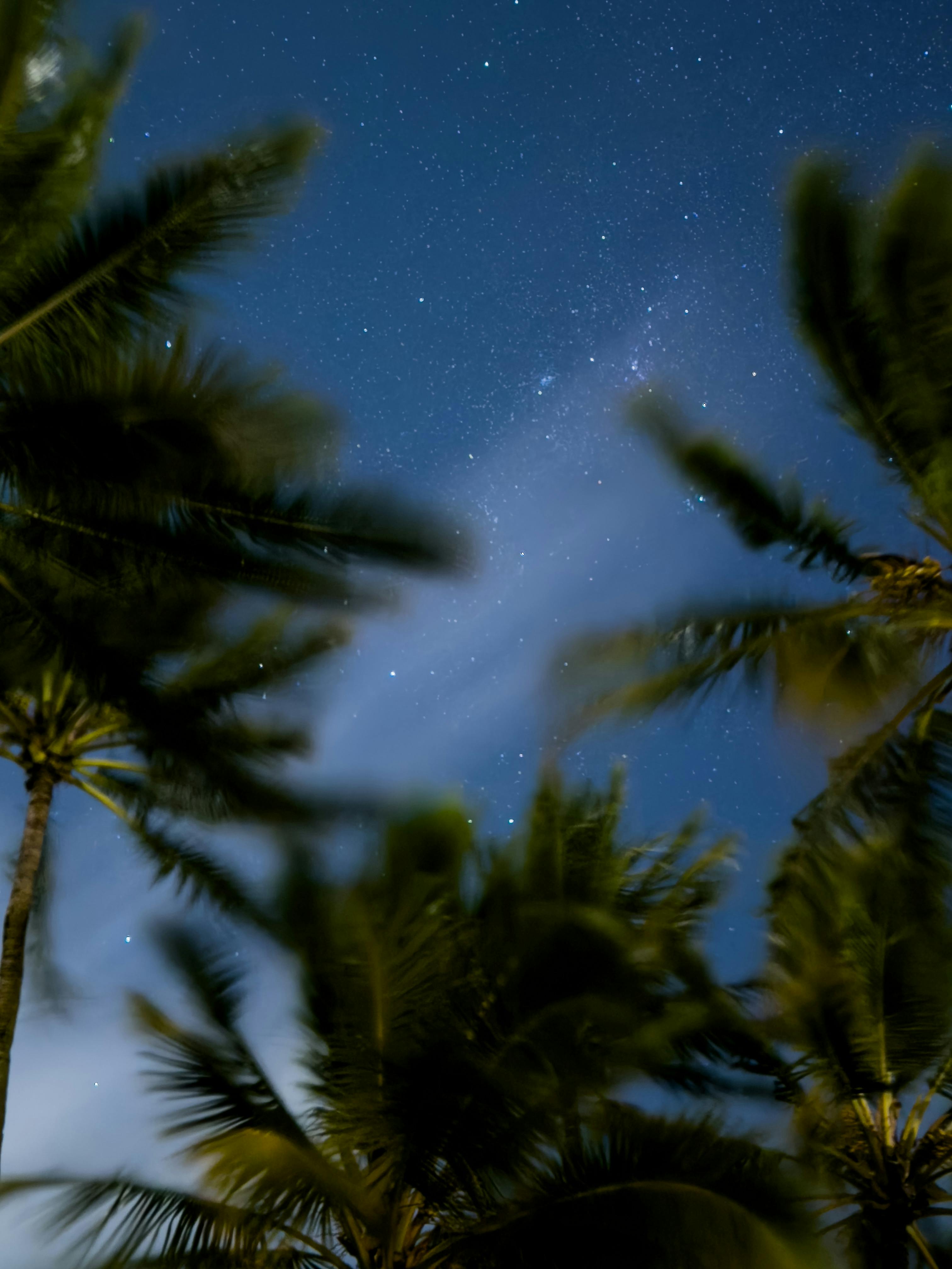 Budu Rupa Photo Photos, Download The BEST Free Budu Rupa Photo Stock ...