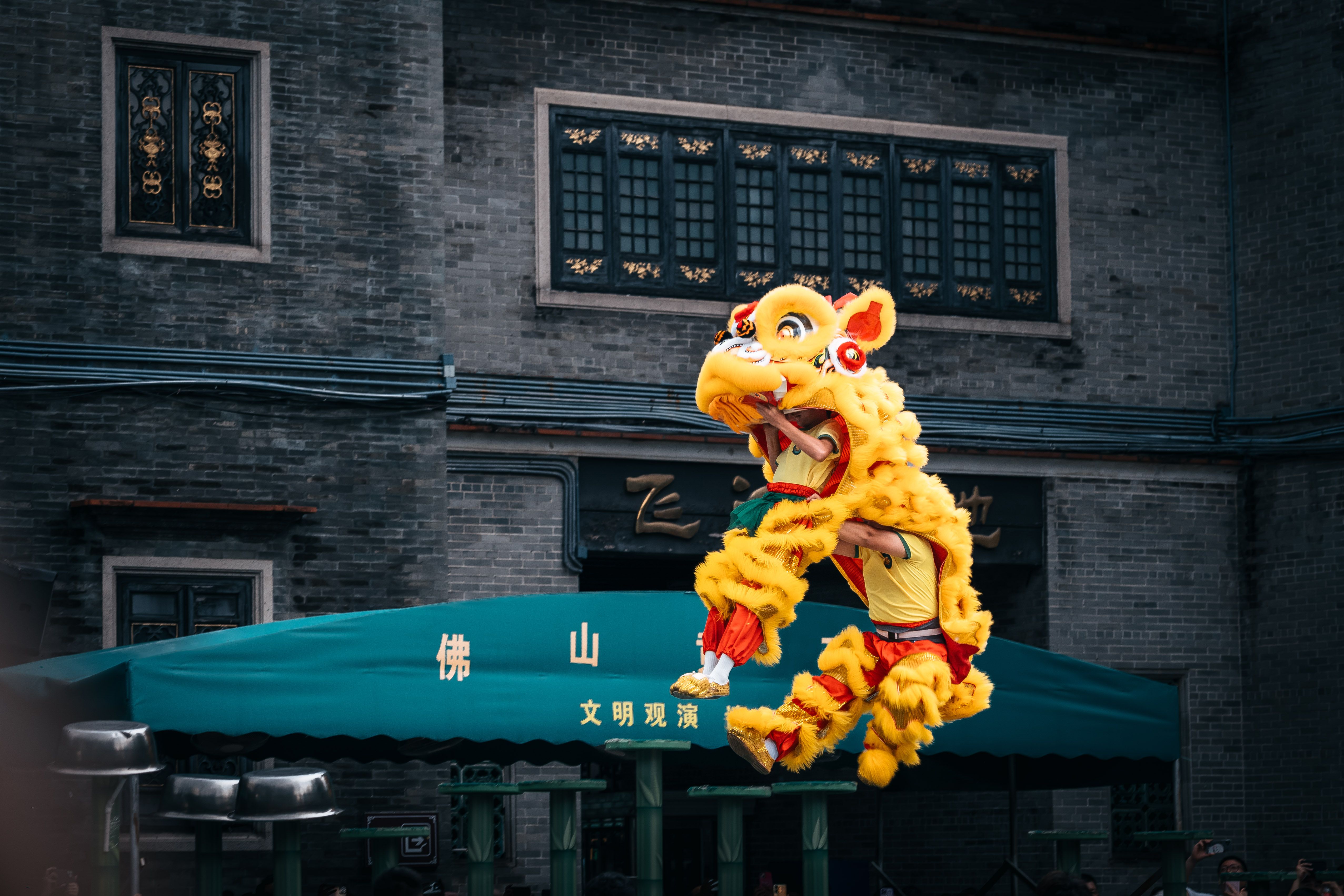 Traditional Lion Dance Performance Outdoors · Free Stock Photo