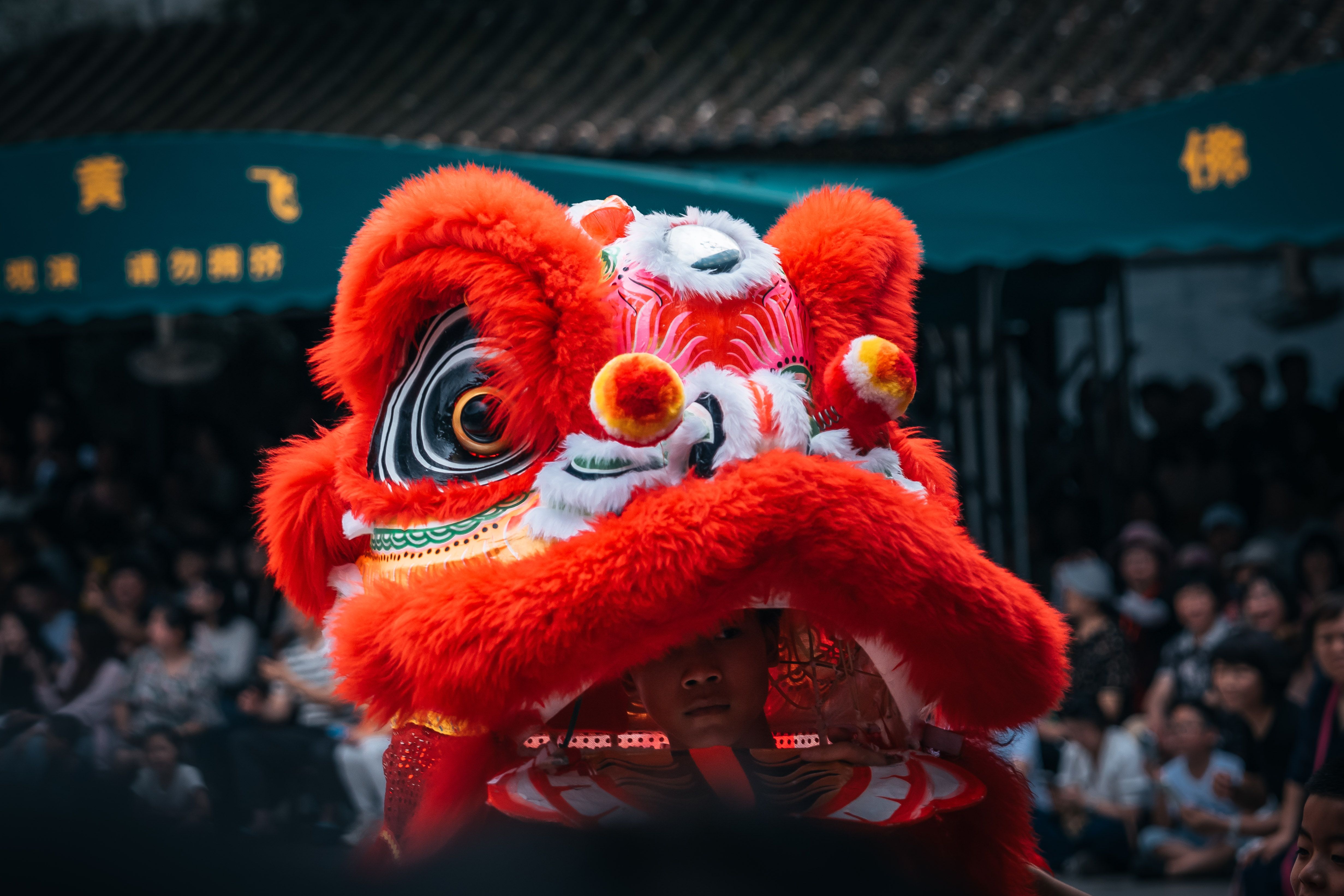 Vibrant Traditional Chinese Lion Dance Performance · Free Stock Photo