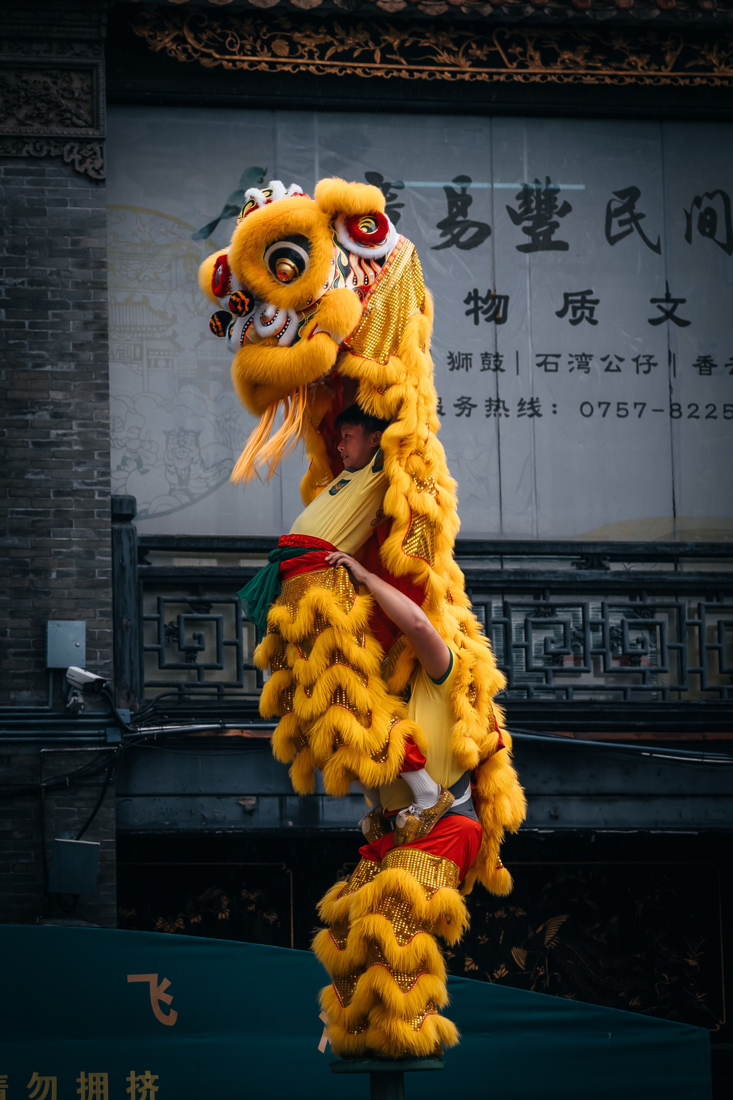 Vibrant Chinese Lion Dance with Red Lanterns · Free Stock Photo