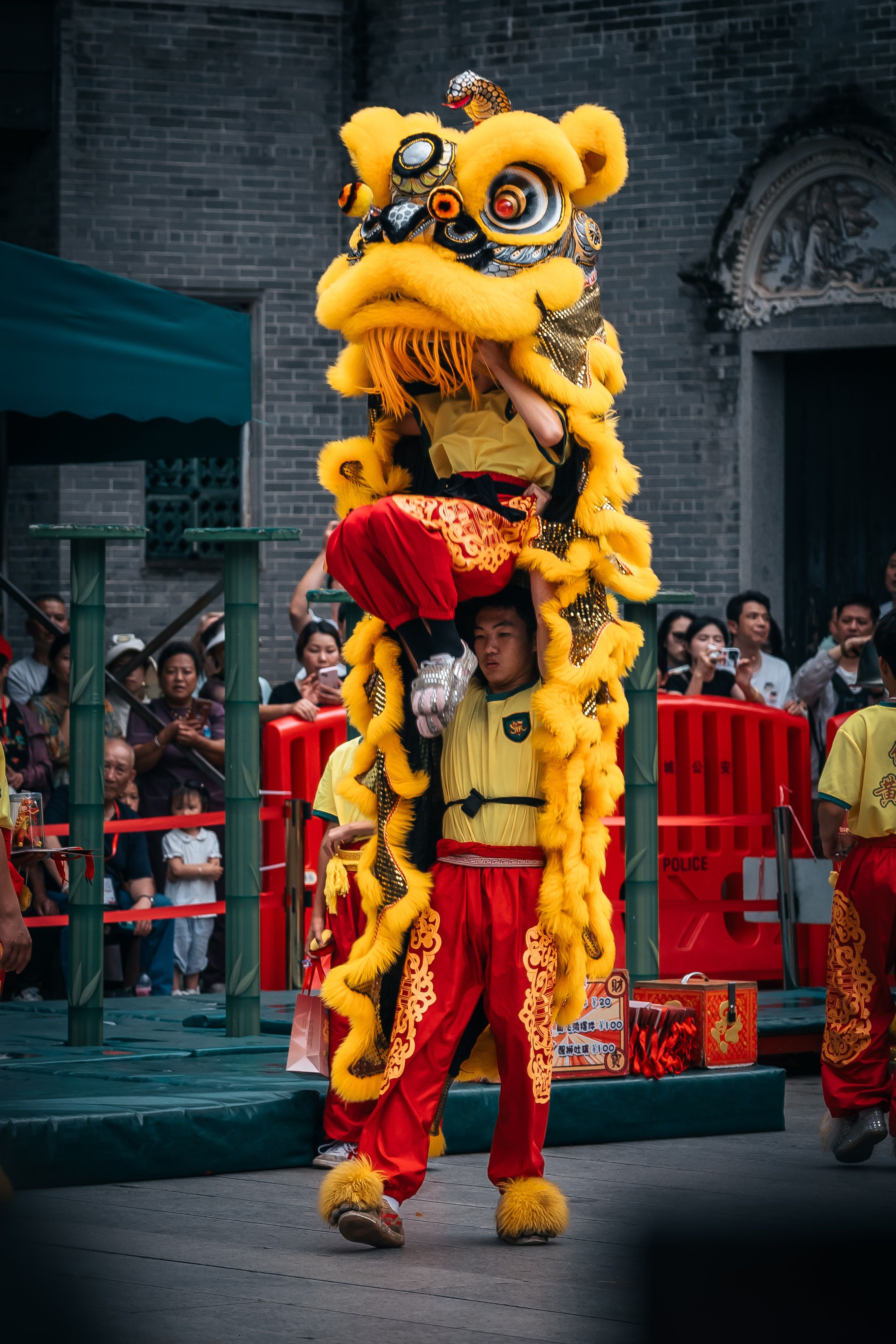 Colorful Lion Dance Performance Outdoors · Free Stock Photo