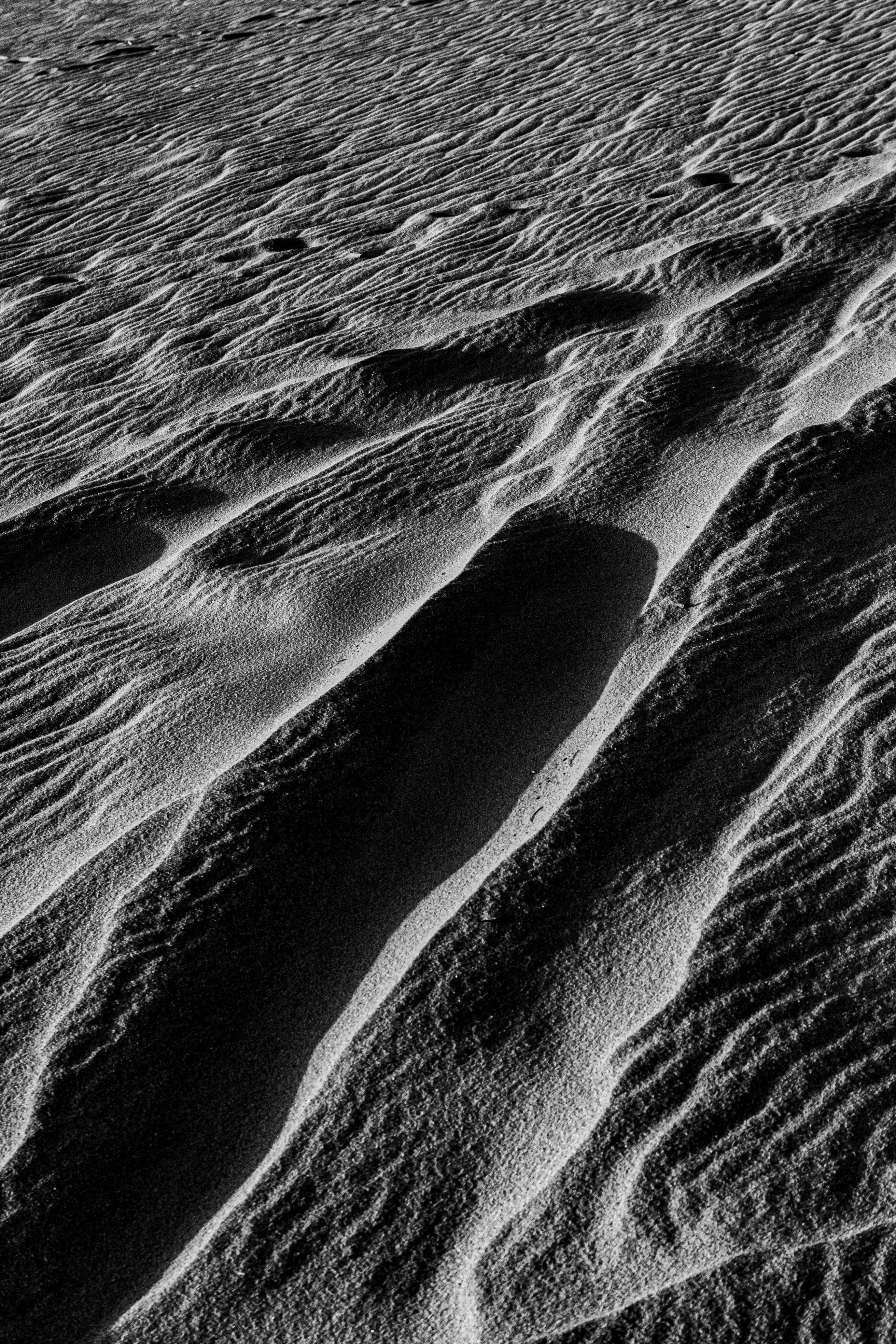 Grain Designs Photos, Download The BEST Free Grain Designs Stock Photos ...