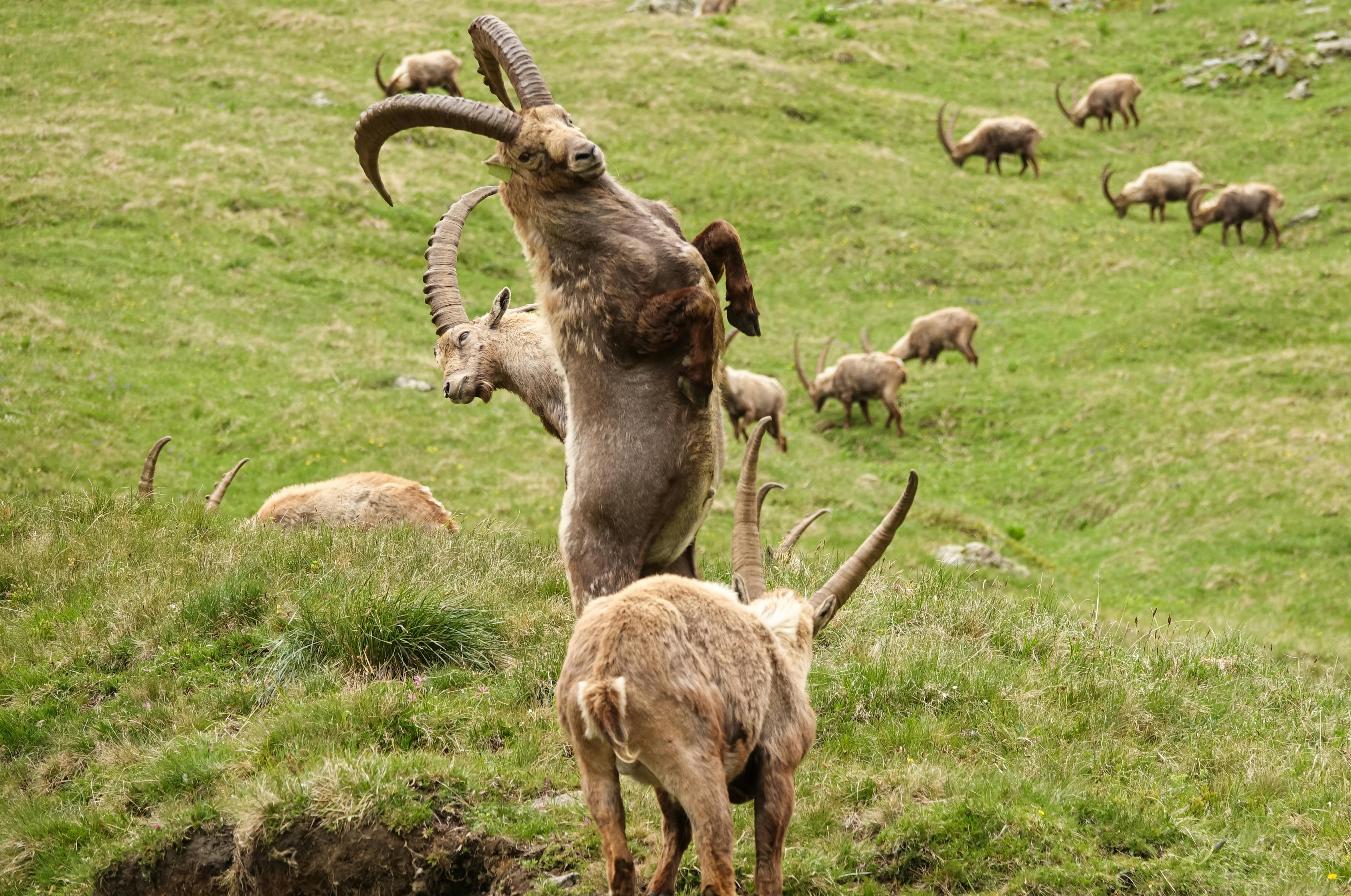 Behavior Photos, Download The BEST Free Behavior Stock Photos & HD Images