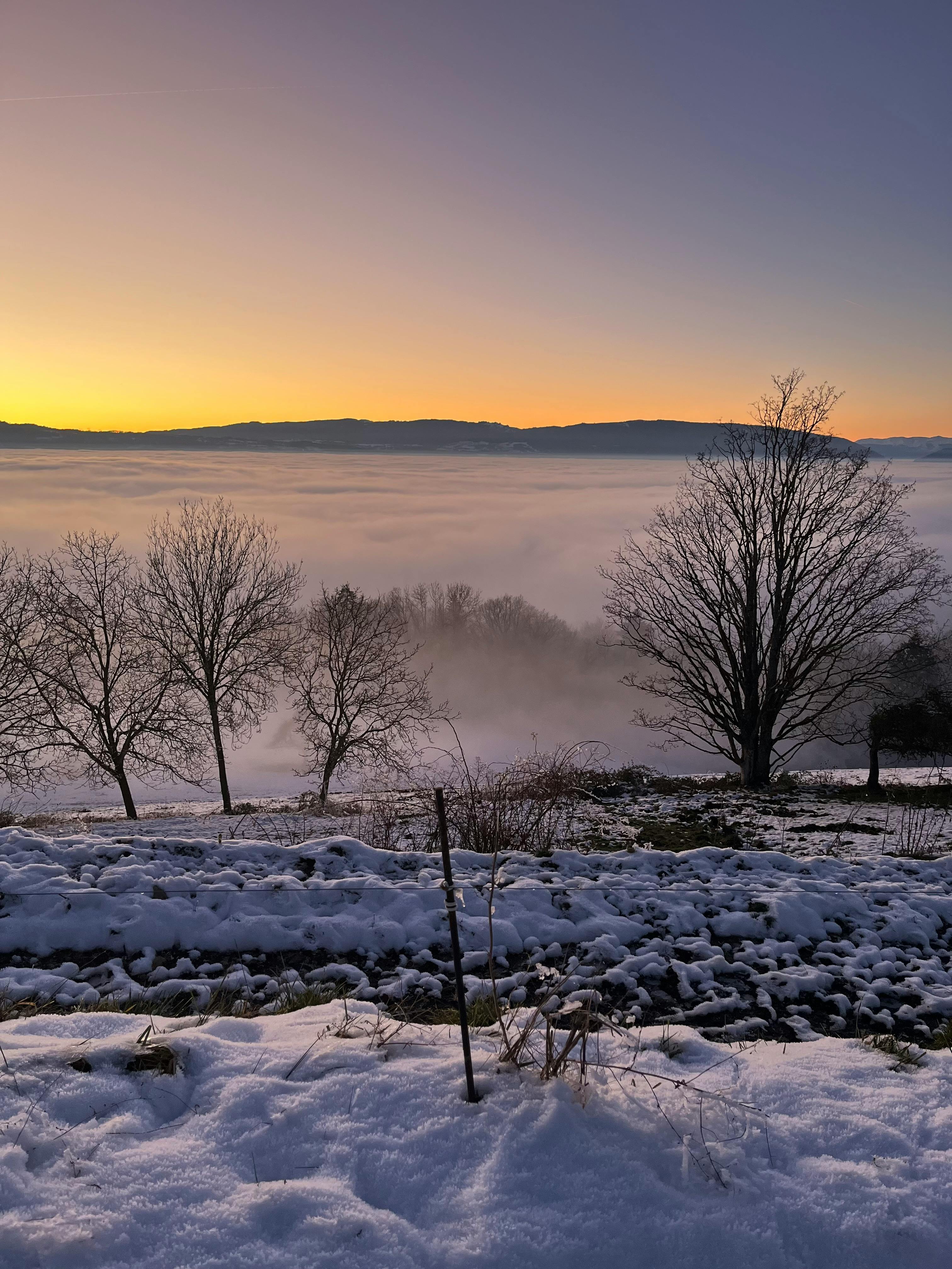 Snow Landscape Photos, Download The BEST Free Snow Landscape Stock ...