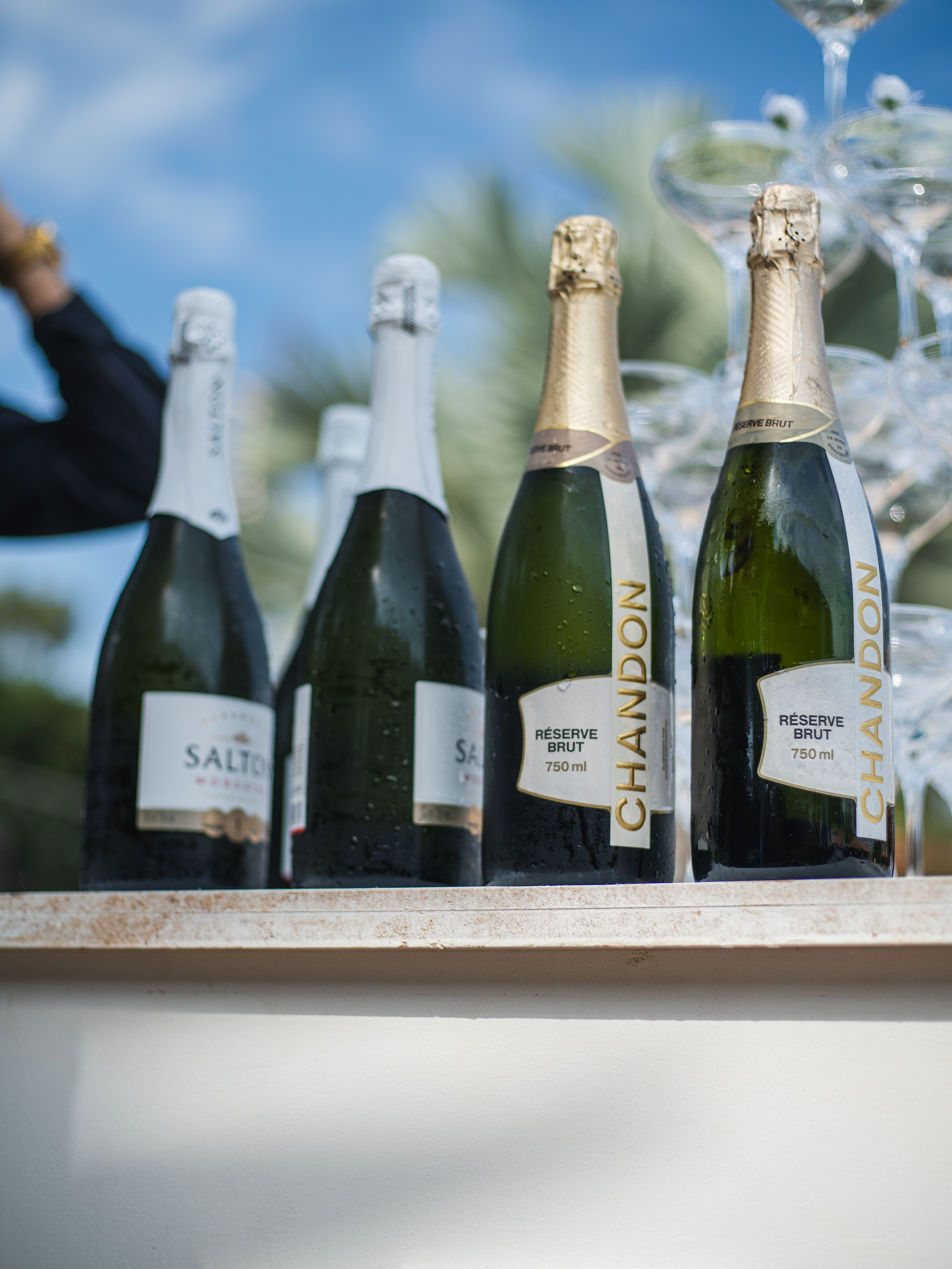 Champagne Bottles on Display at Celebration · Free Stock Photo