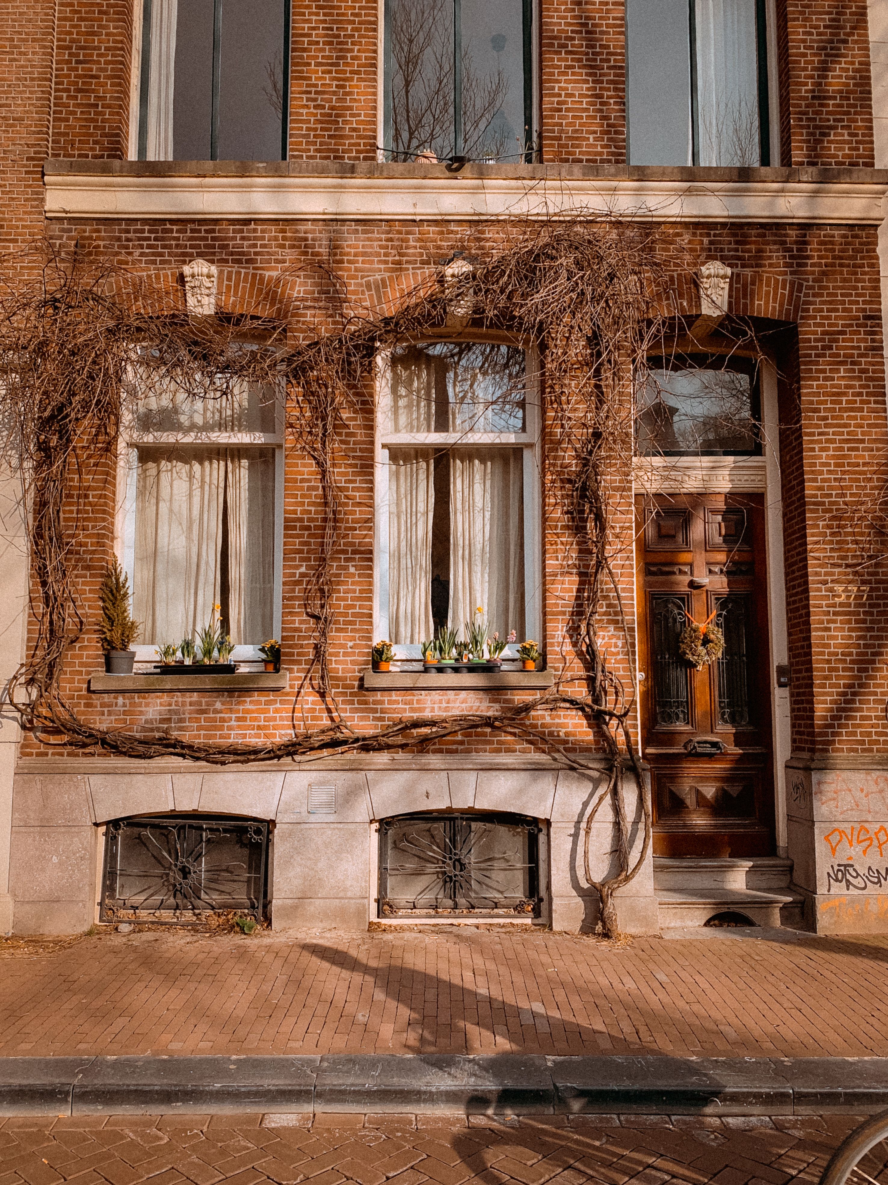 Charming Amsterdam Brick House Façade with Plants · Free Stock Photo