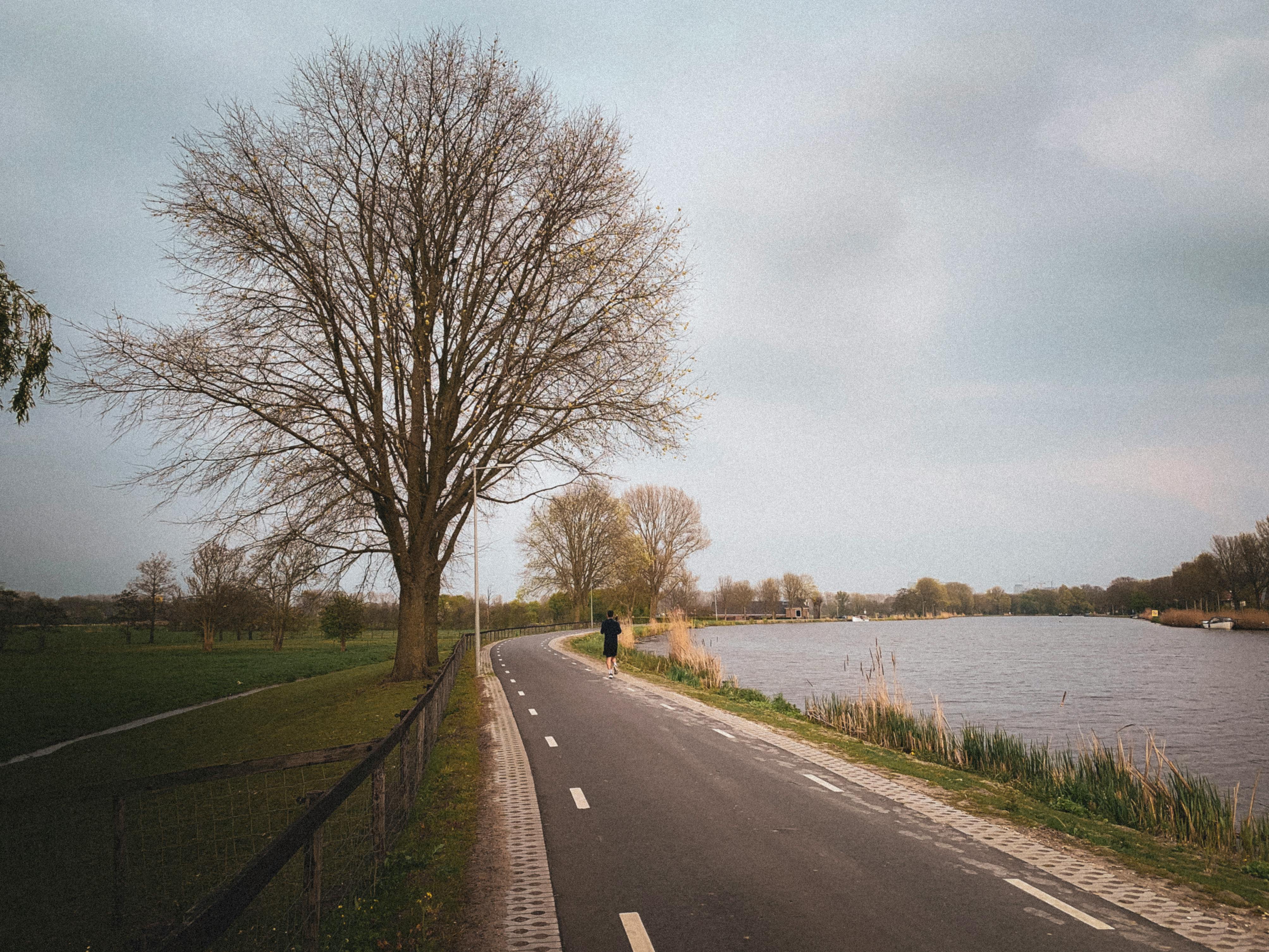 Scenic Riverside Pathway in Amstel River, Amsterdam · Free Stock Photo
