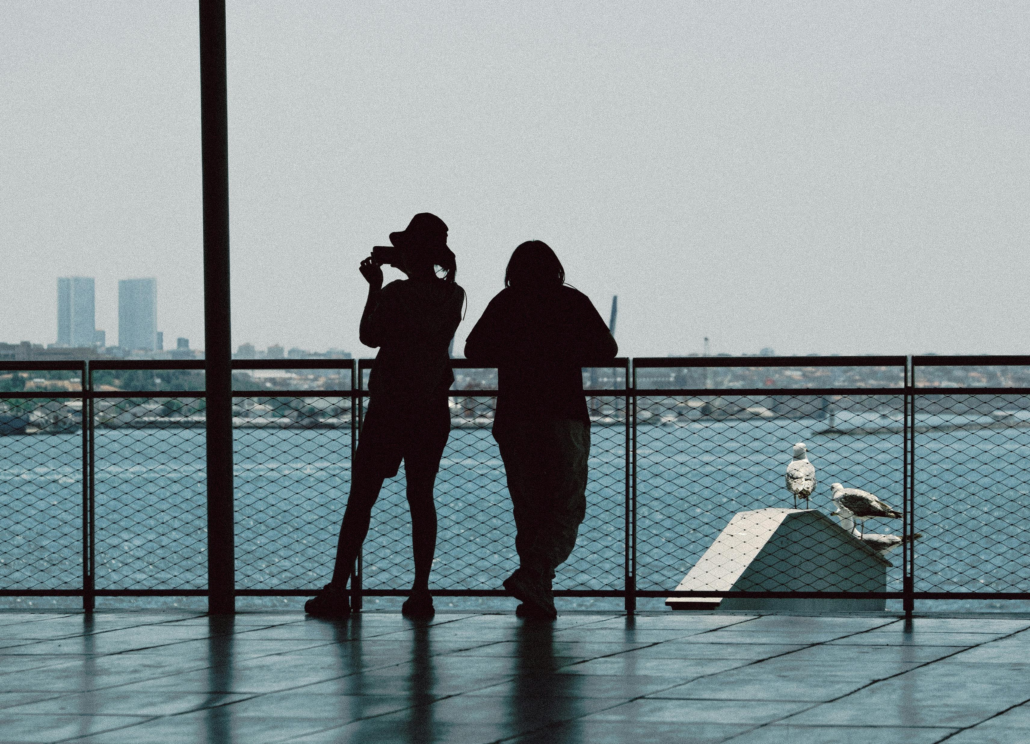 Observation Photos, Download The BEST Free Observation Stock Photos ...