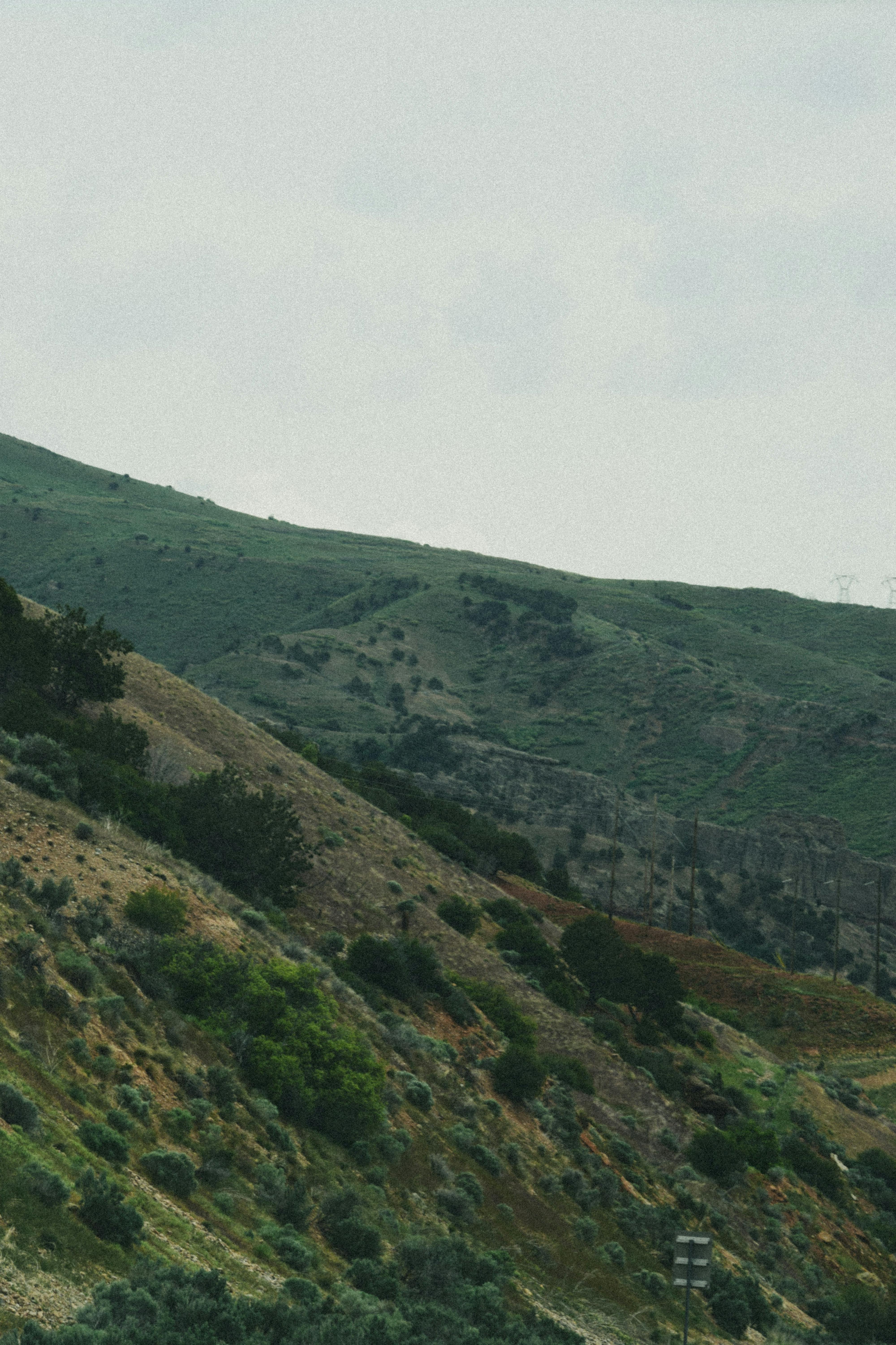 Android Alusta Photos, Download The BEST Free Android Alusta Stock ...