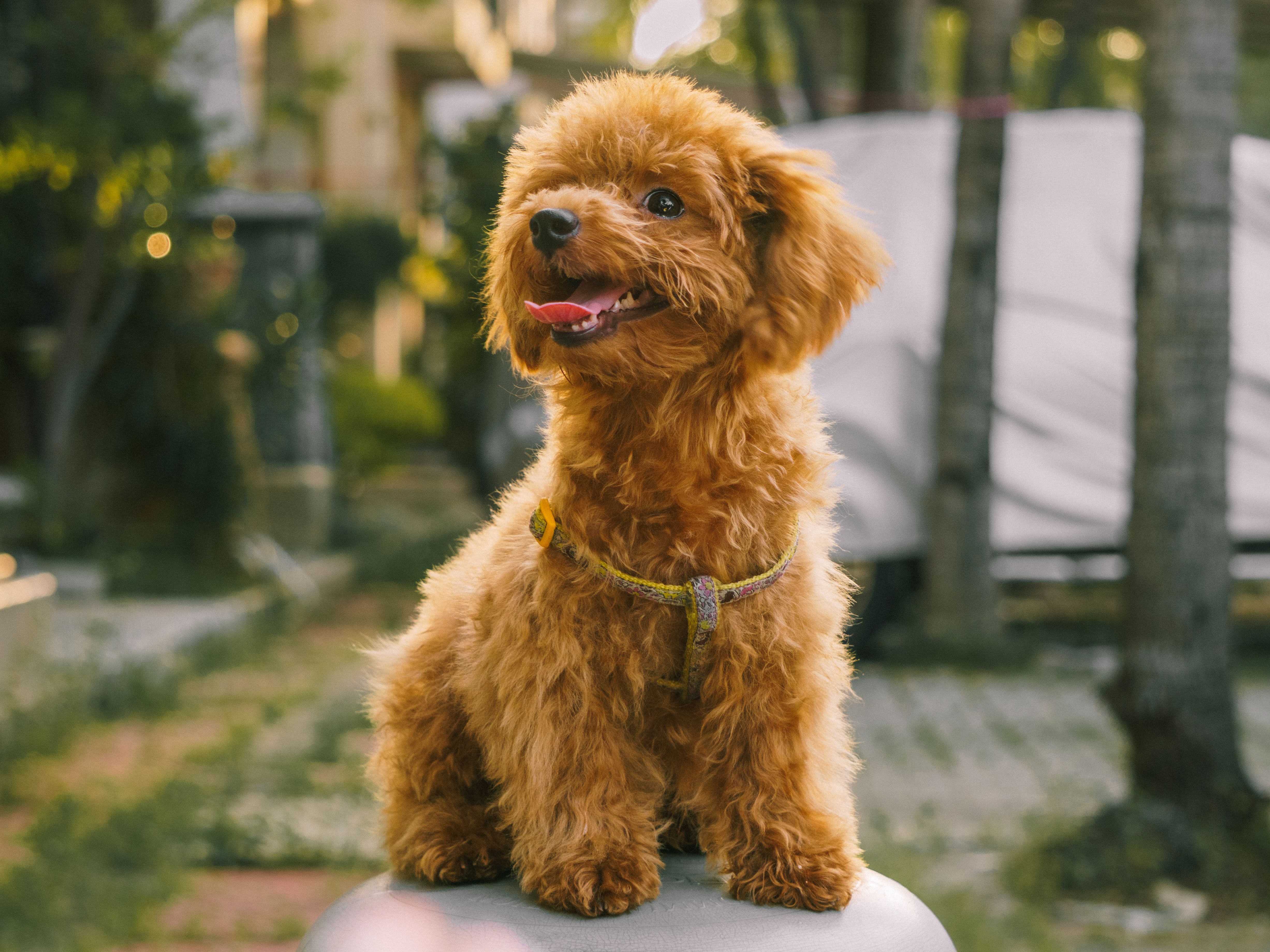 Friendly Photos, Download The BEST Free Friendly Stock Photos & HD Images