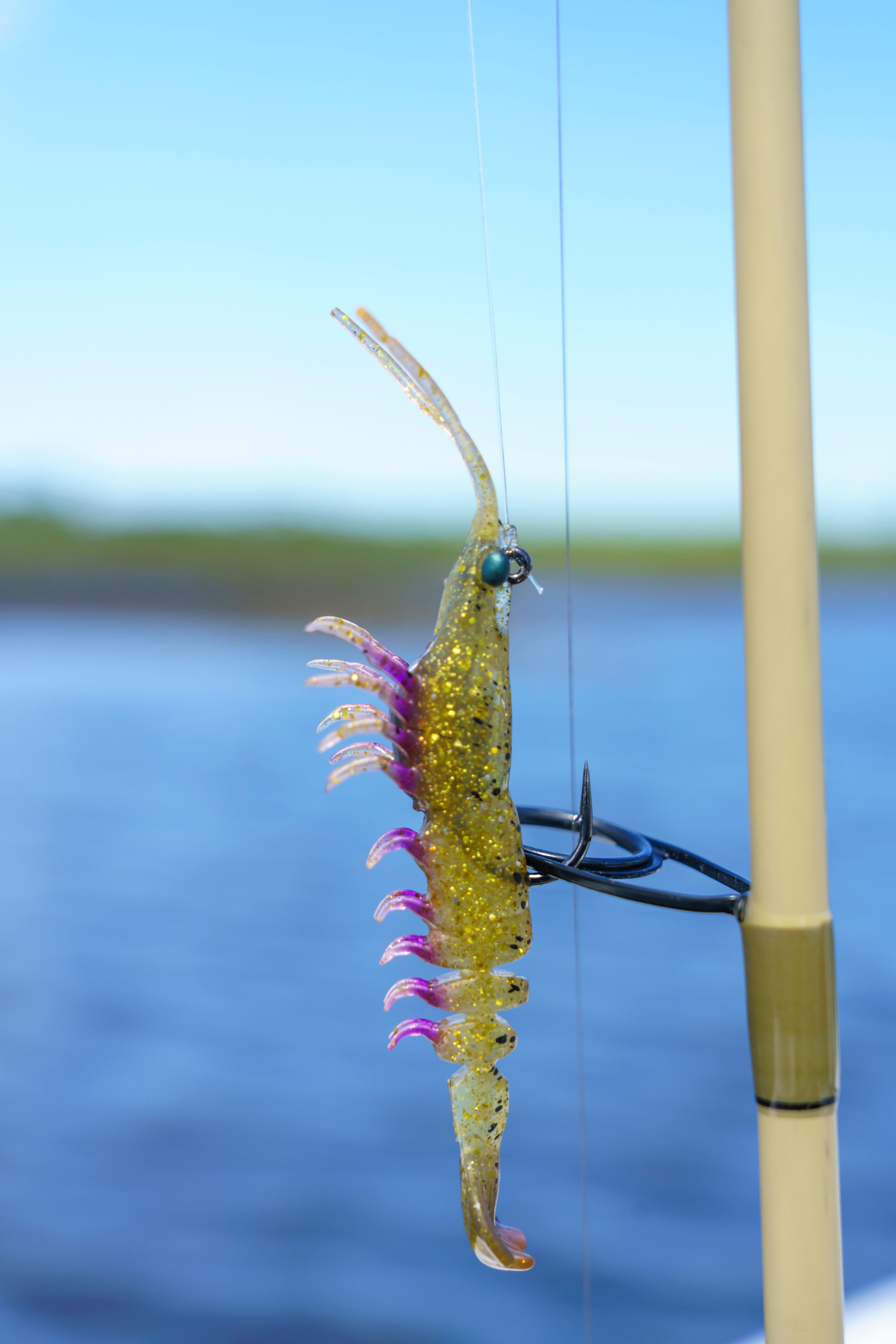 Colorful Fishing Lure on Rod by Water · Free Stock Photo