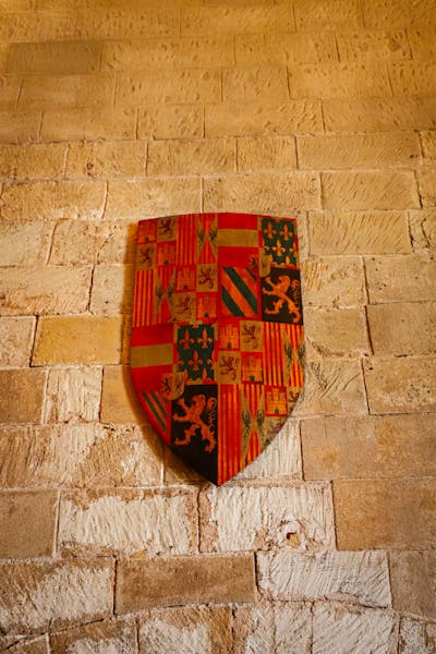 Shield Photos, Download The BEST Free Shield Stock Photos & HD Images