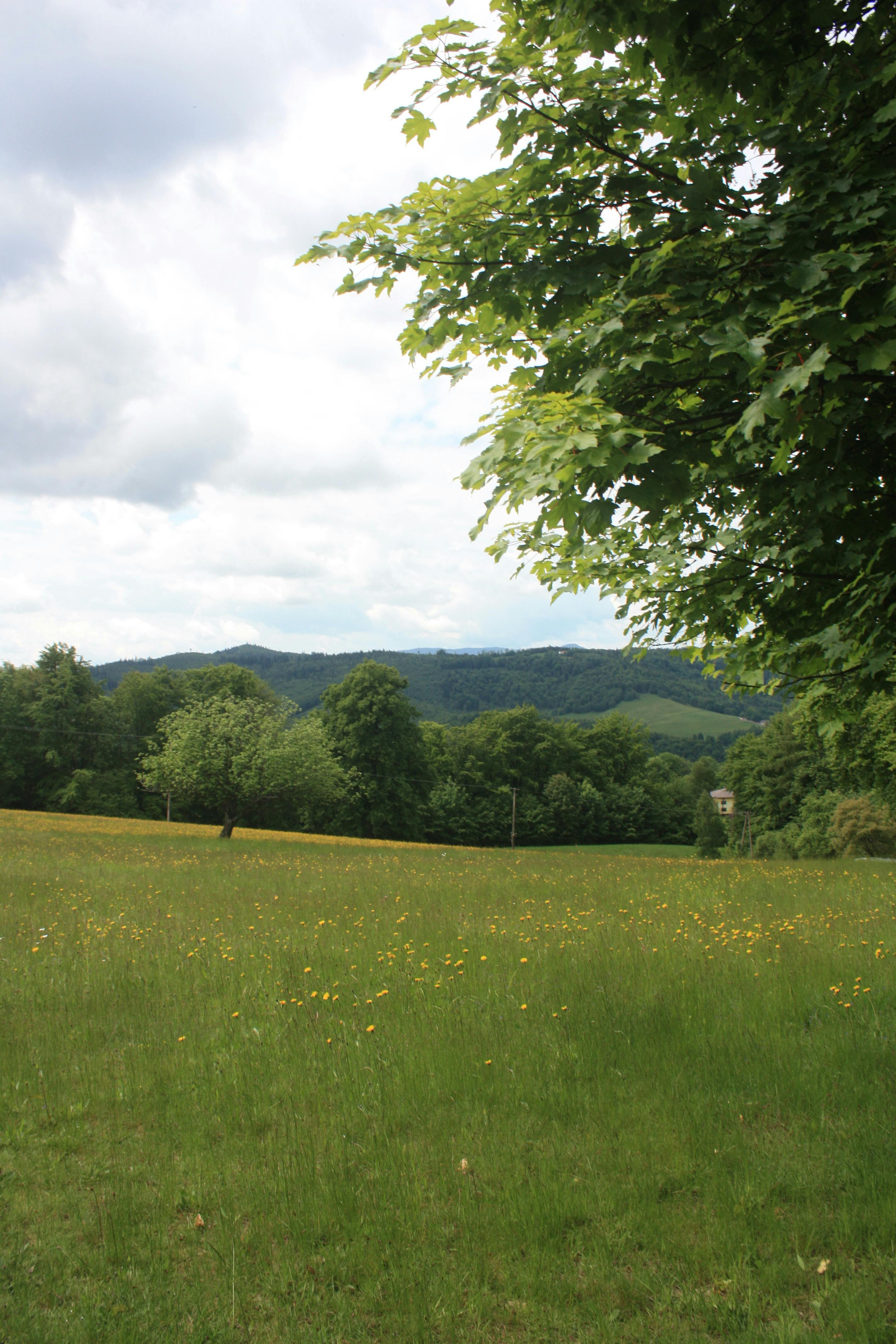 Calming Photos, Download The BEST Free Calming Stock Photos & HD Images