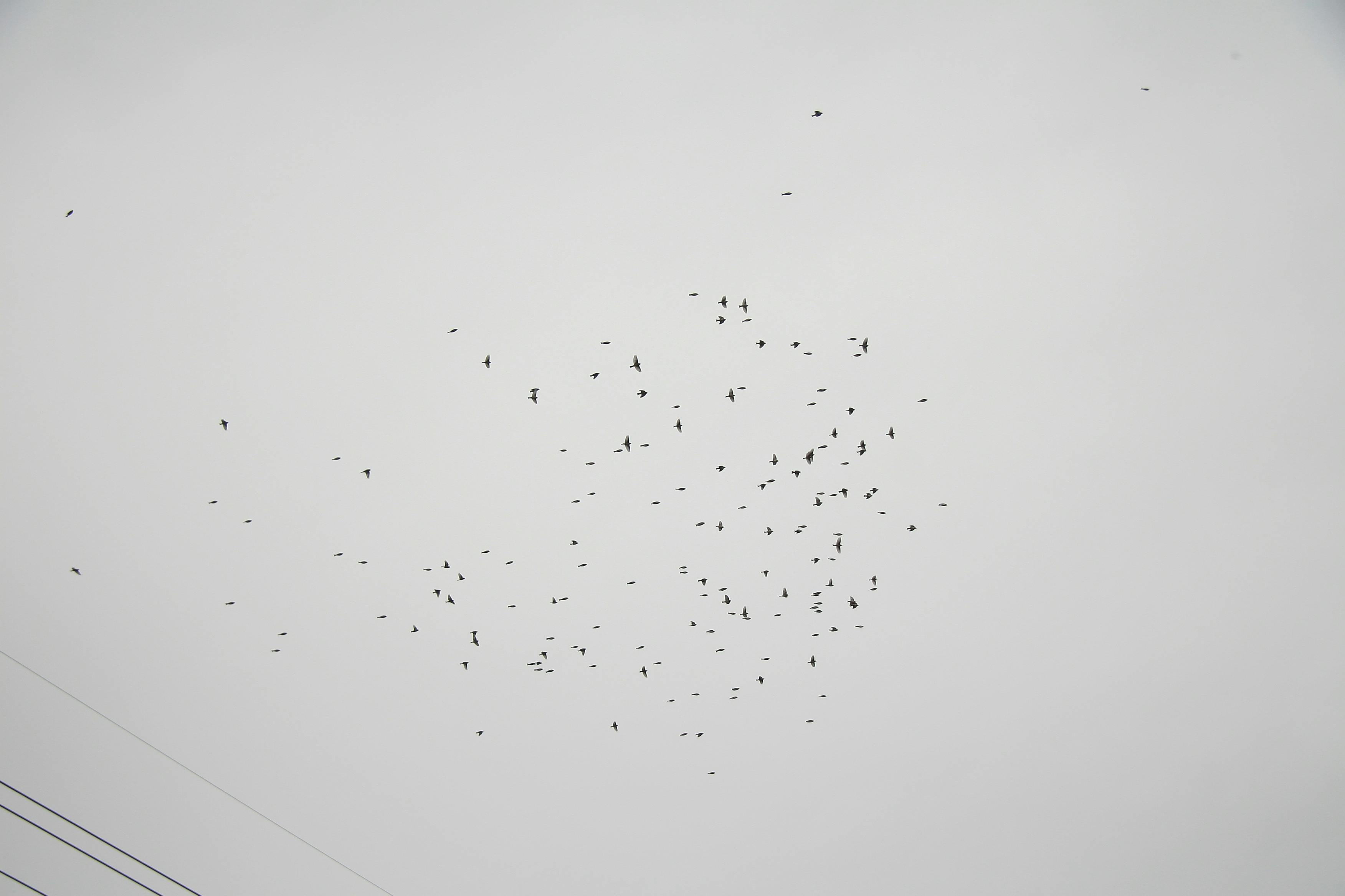 Seminyak Square Market - Perumperindo.co.id