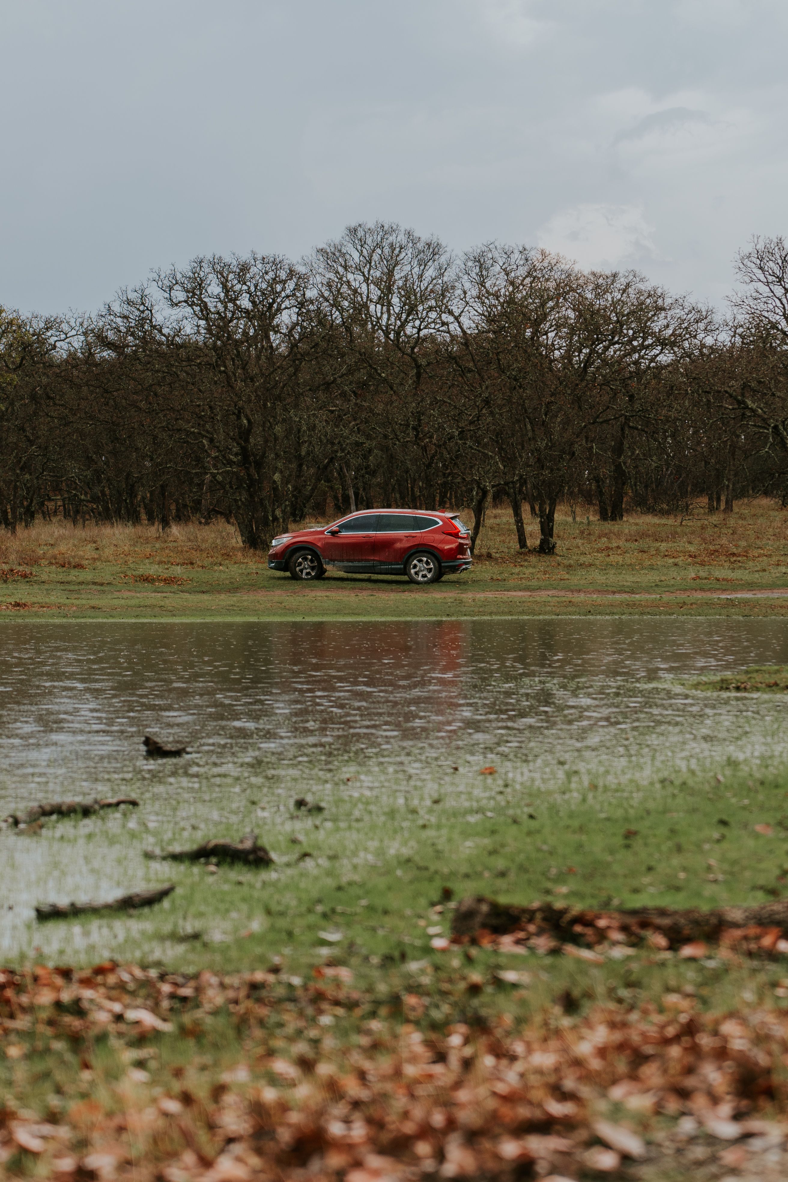 Red SUV Parked by a Flooded Field · Free Stock Photo