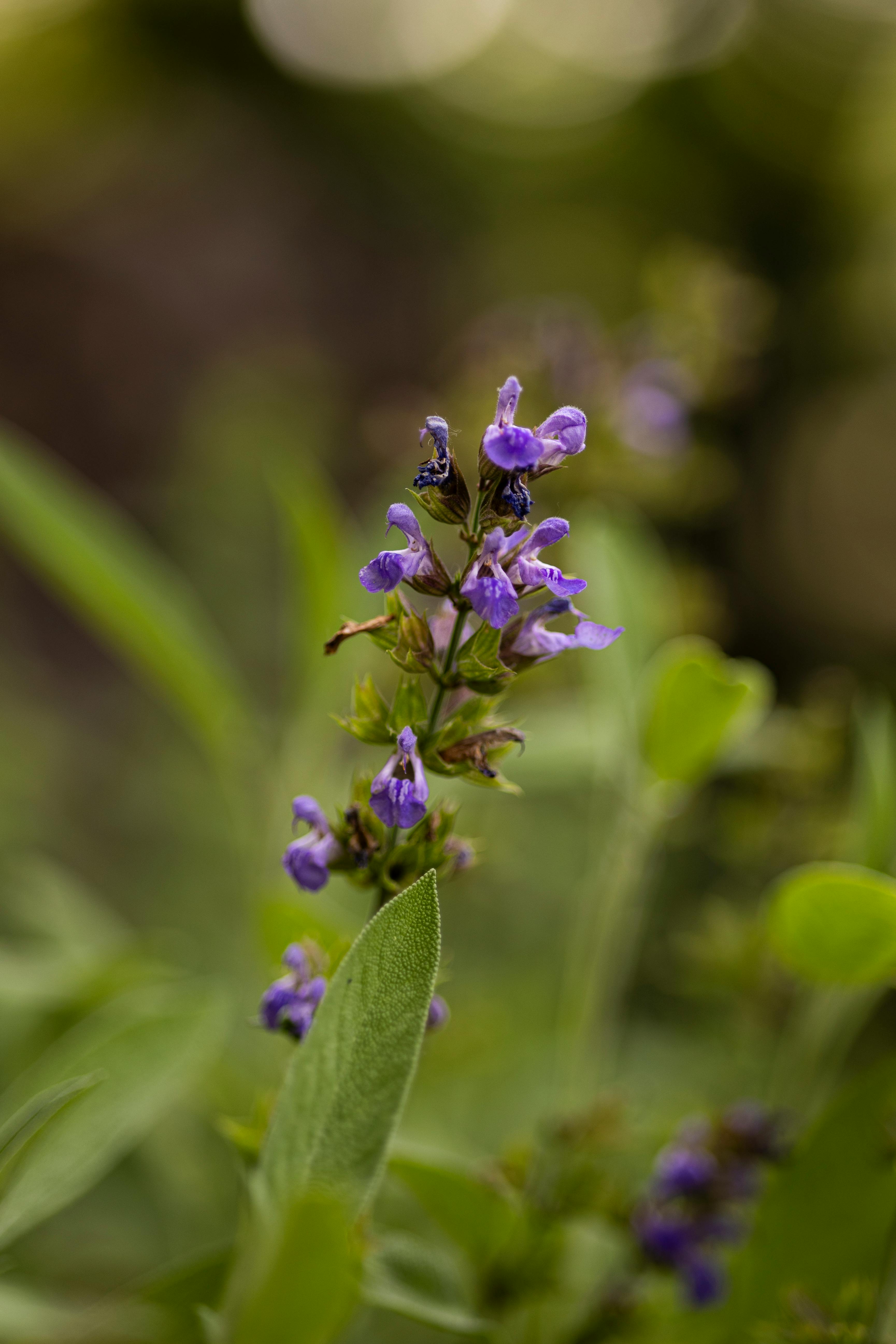 Ash Color Background Photos, Download The BEST Free Ash Color ...