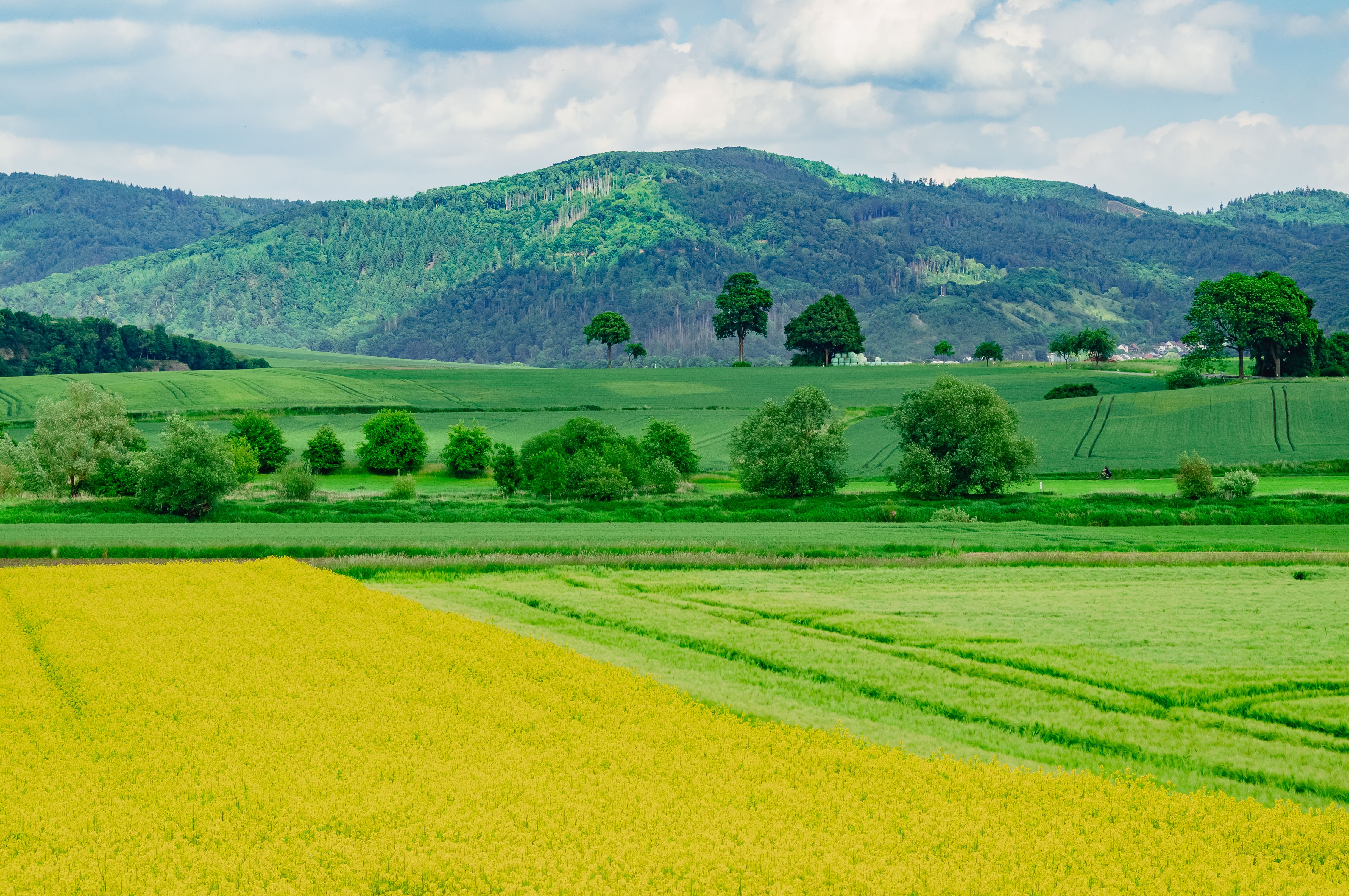 Scenic Countryside with Vibrant Green Fields · Free Stock Photo