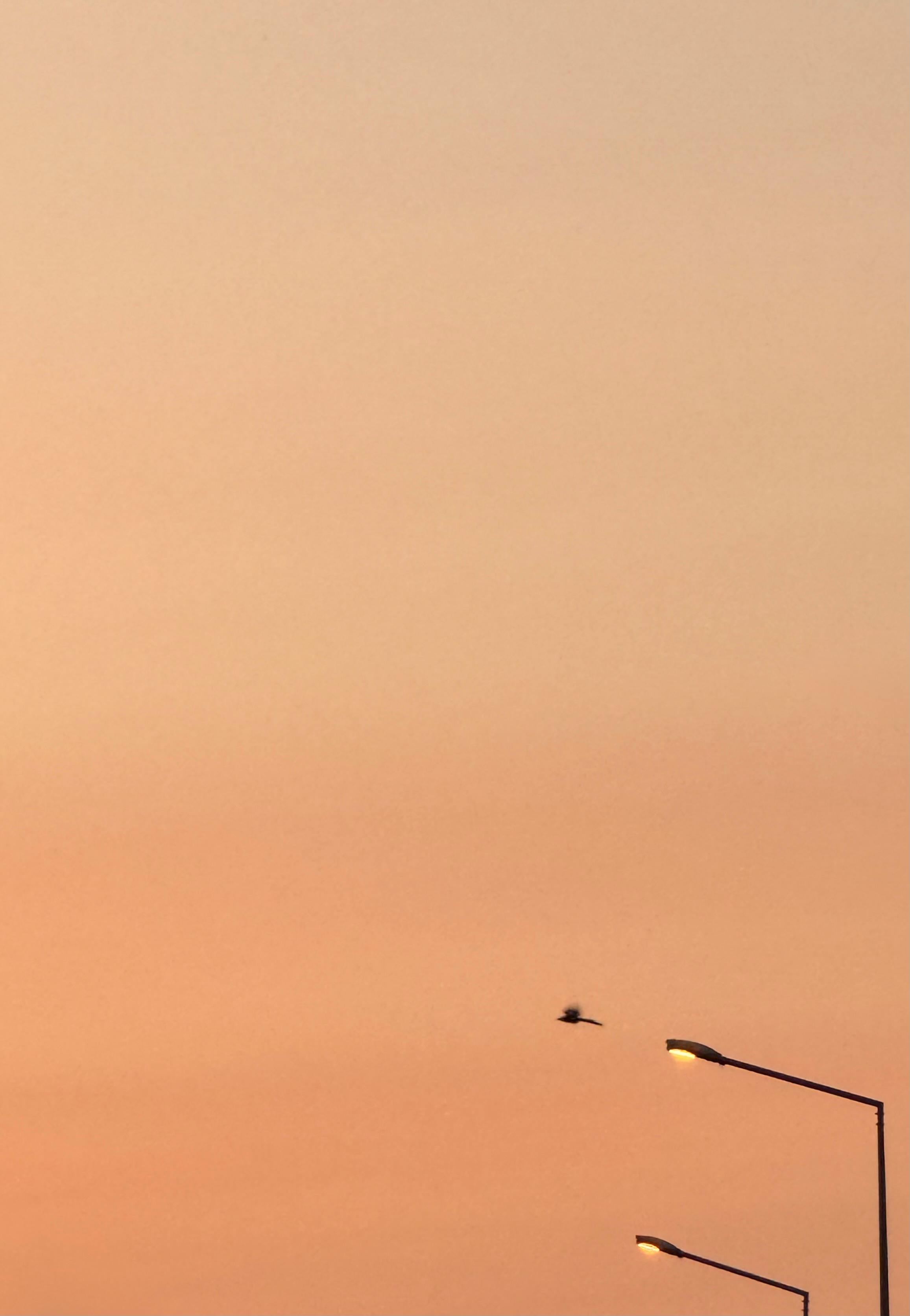 Transition Photos, Download The BEST Free Transition Stock Photos & HD ...