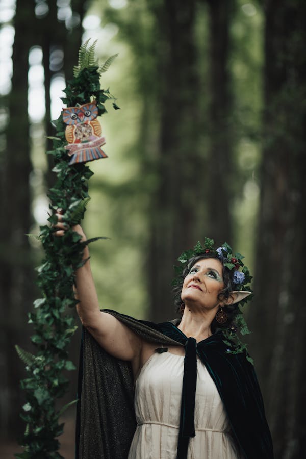 Magical Forest Photos, Download The BEST Free Magical Forest Stock ...