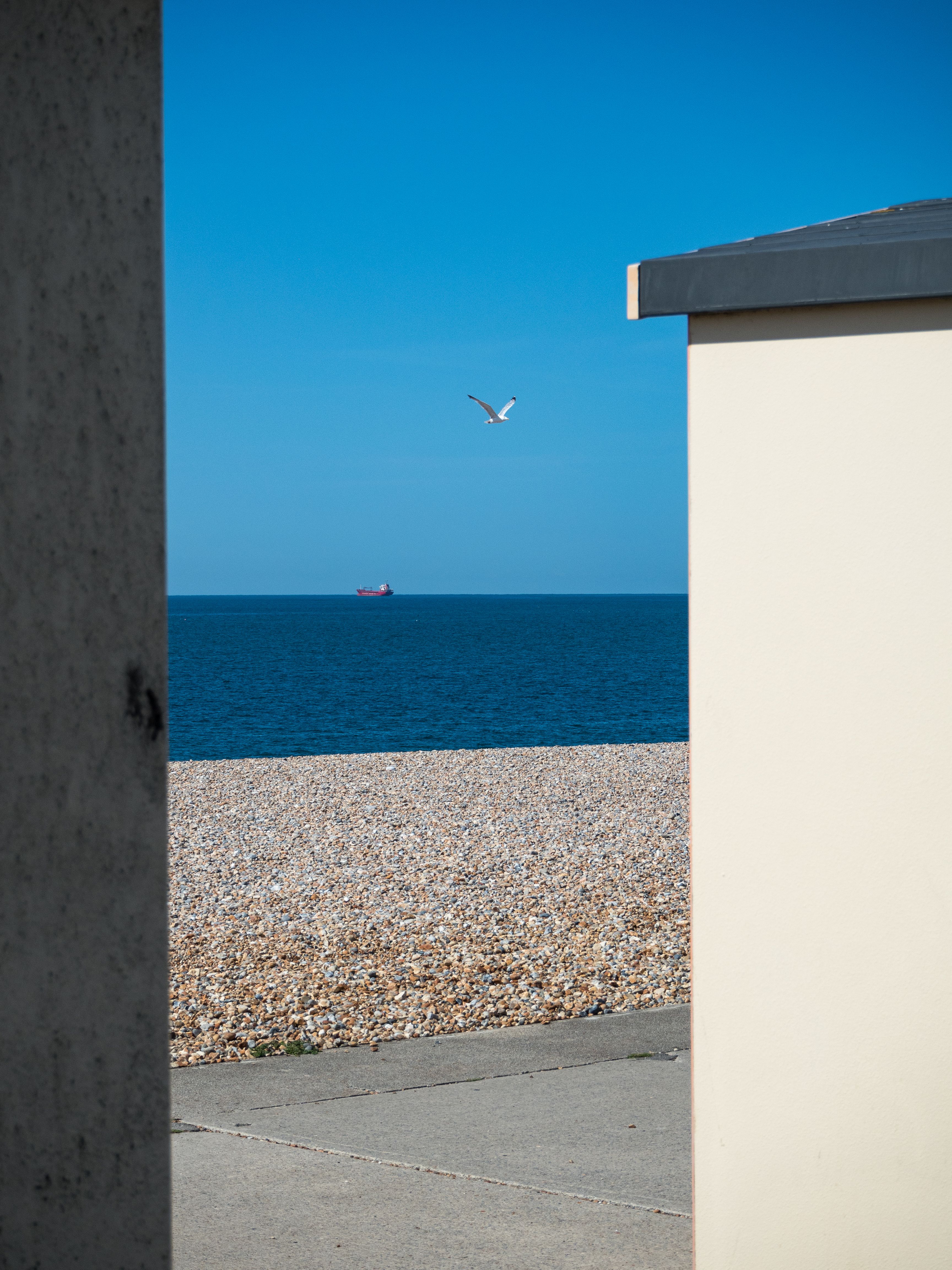 Seaford Beach View Through Beach Huts · Free Stock Photo