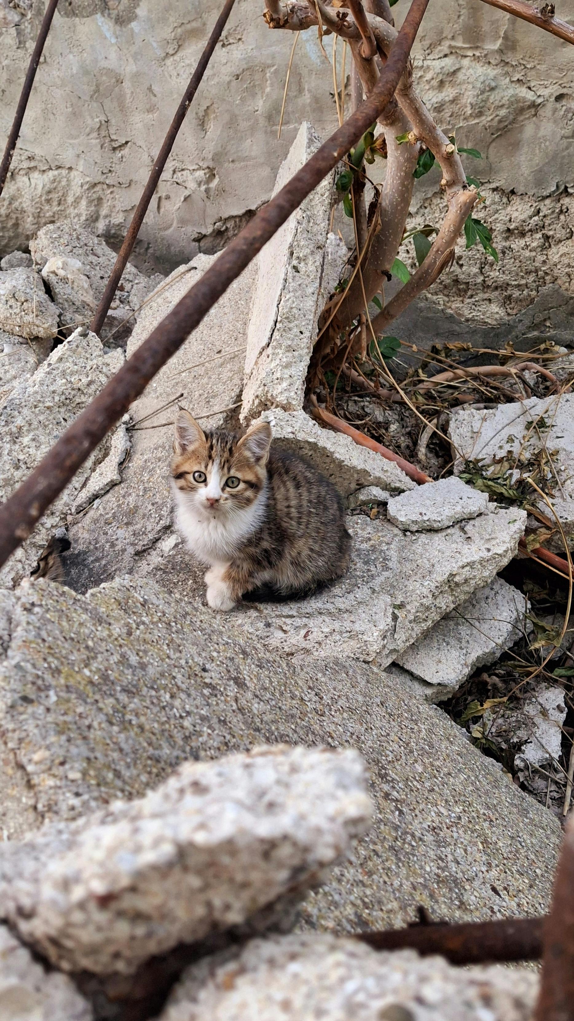 Picture+Of+Nothing Photos, Download The BEST Free Picture+Of+Nothing ...