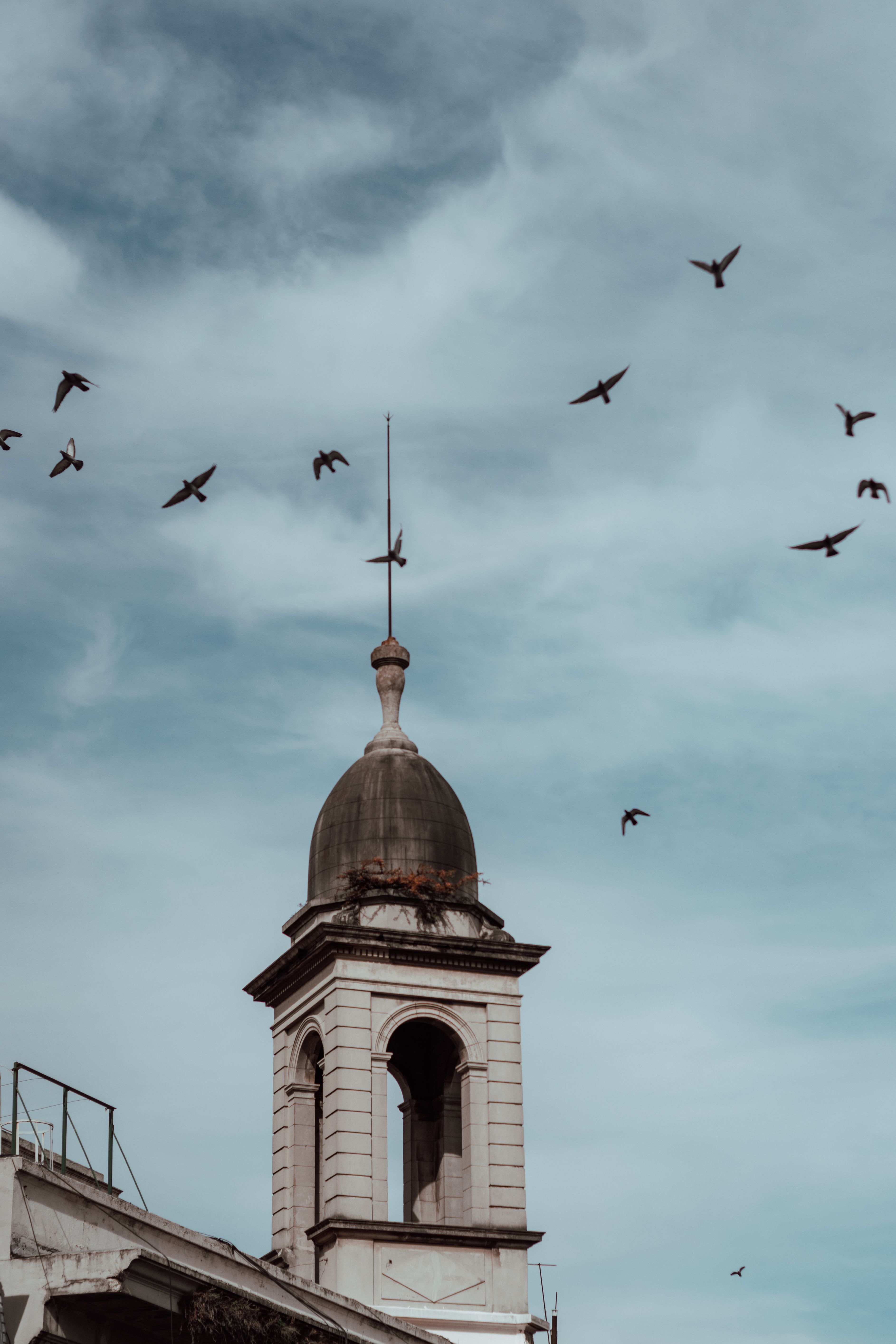 Migration Photos, Download The BEST Free Migration Stock Photos & HD Images