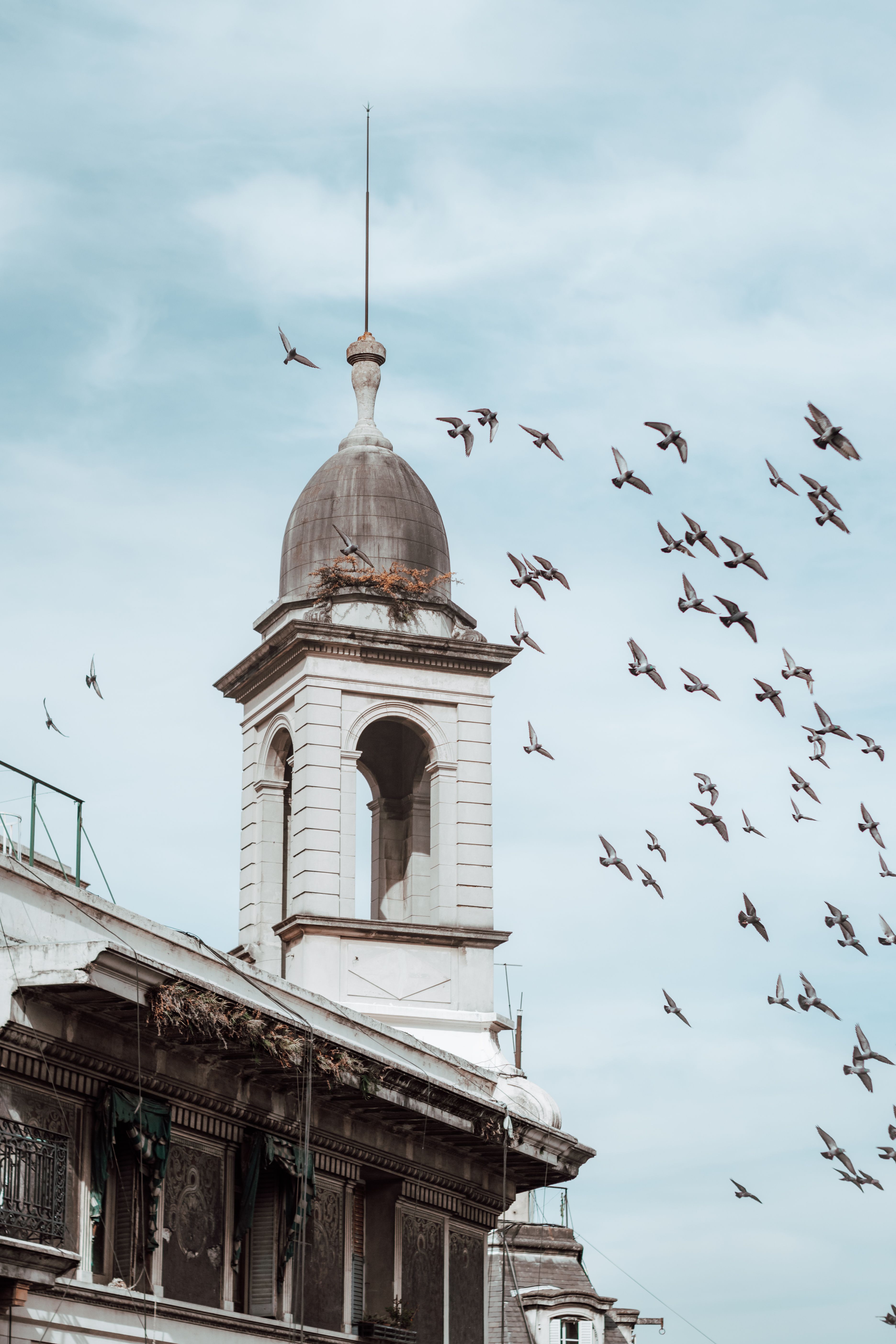 Historic Tower with Flock of Birds in Flight · Free Stock Photo