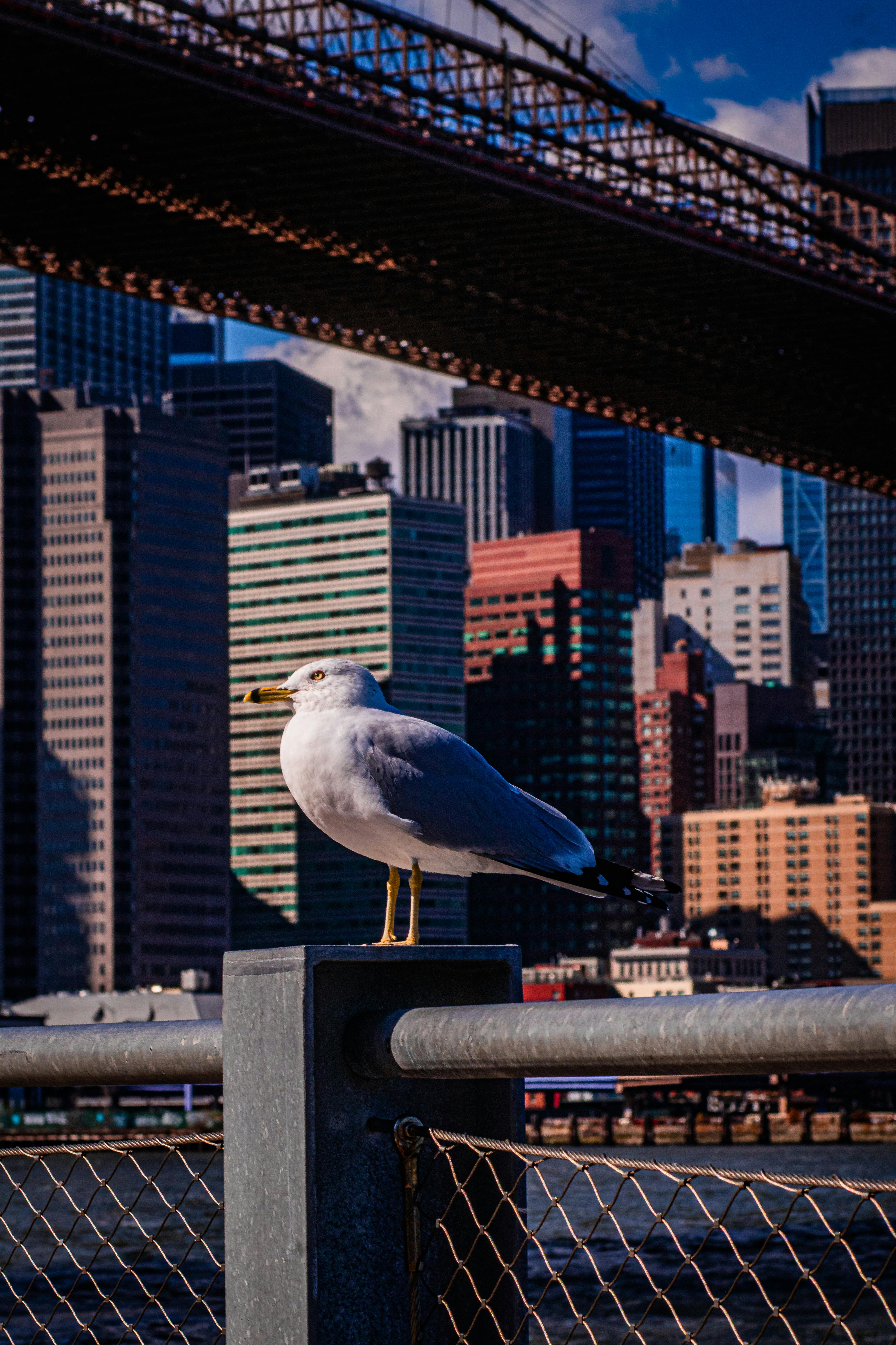 Newness Photos, Download The BEST Free Newness Stock Photos & HD Images