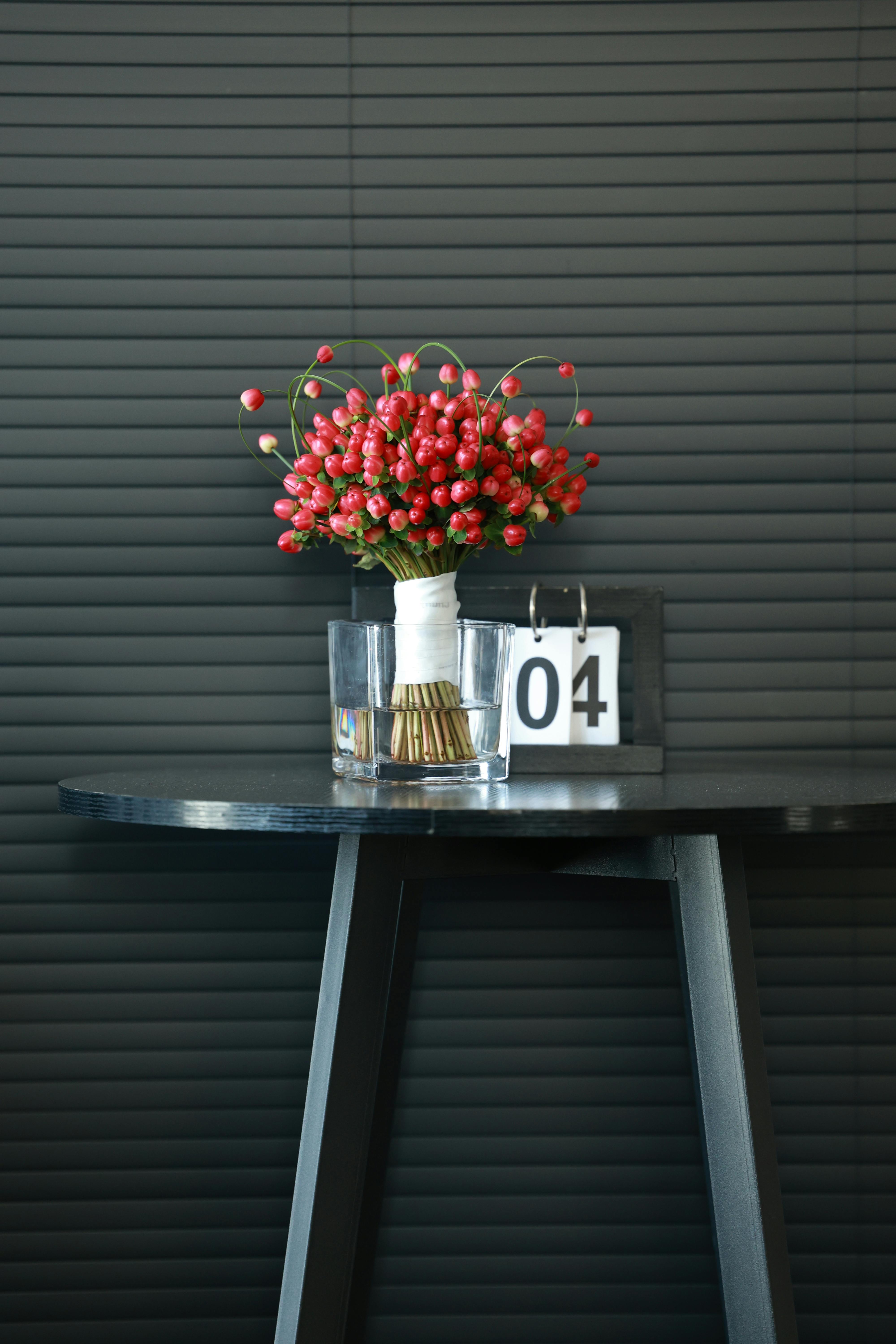 4 Seasons Photos, Download The BEST Free 4 Seasons Stock Photos & HD Images