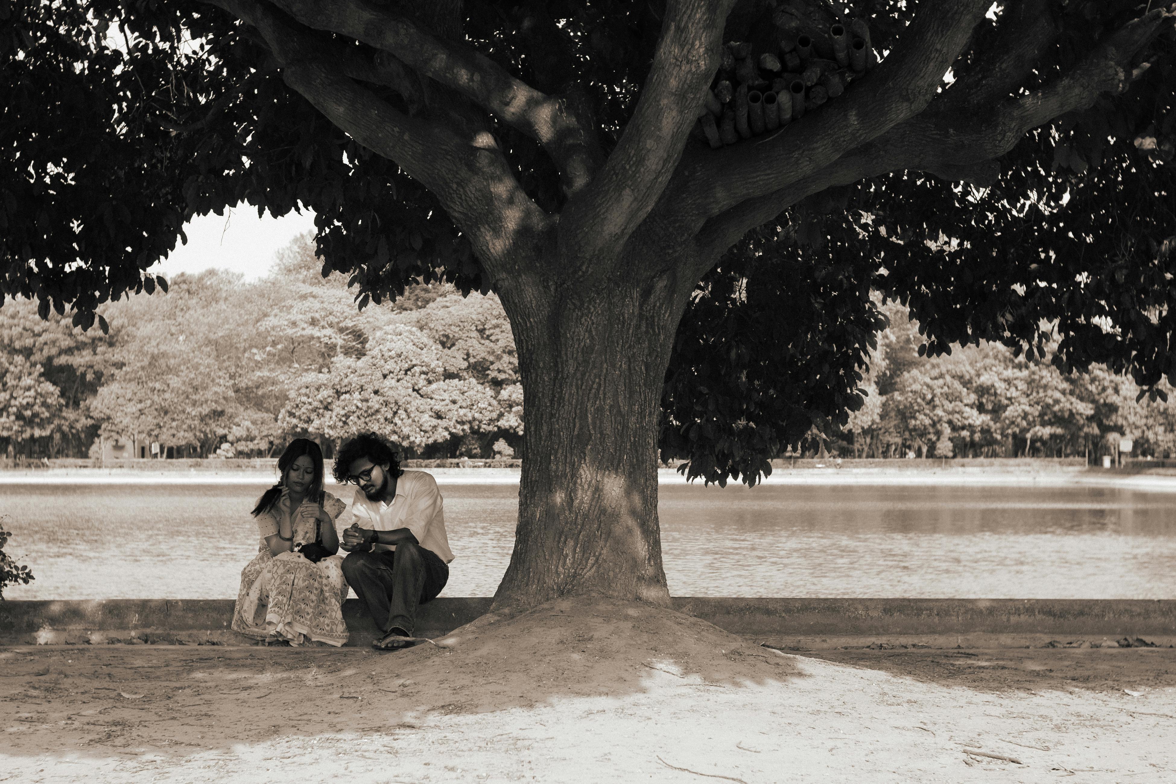 Arjun Tree Photos, Download The BEST Free Arjun Tree Stock Photos & HD ...