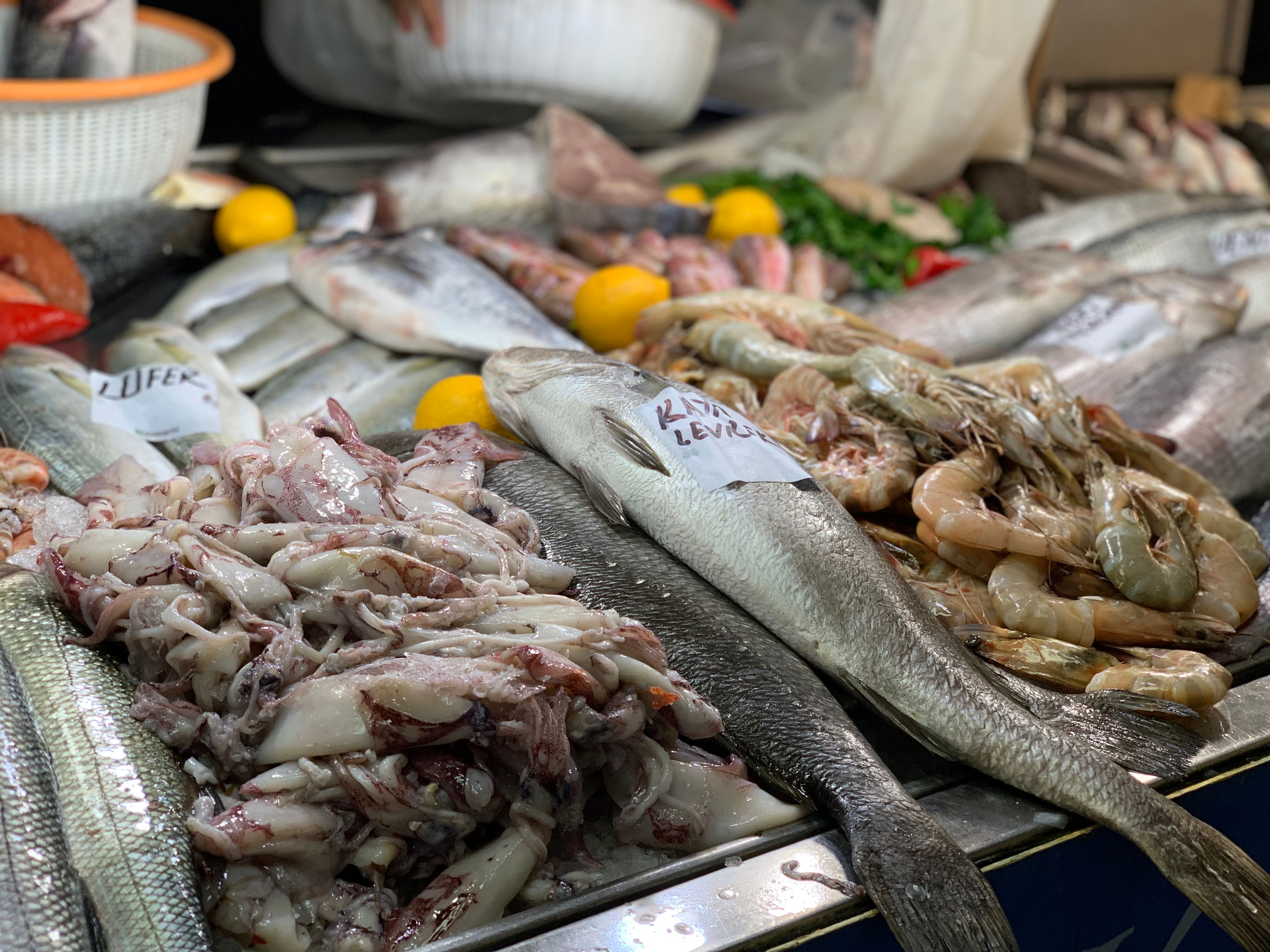Fresh Seafood Display at Fethiye Market · Free Stock Photo