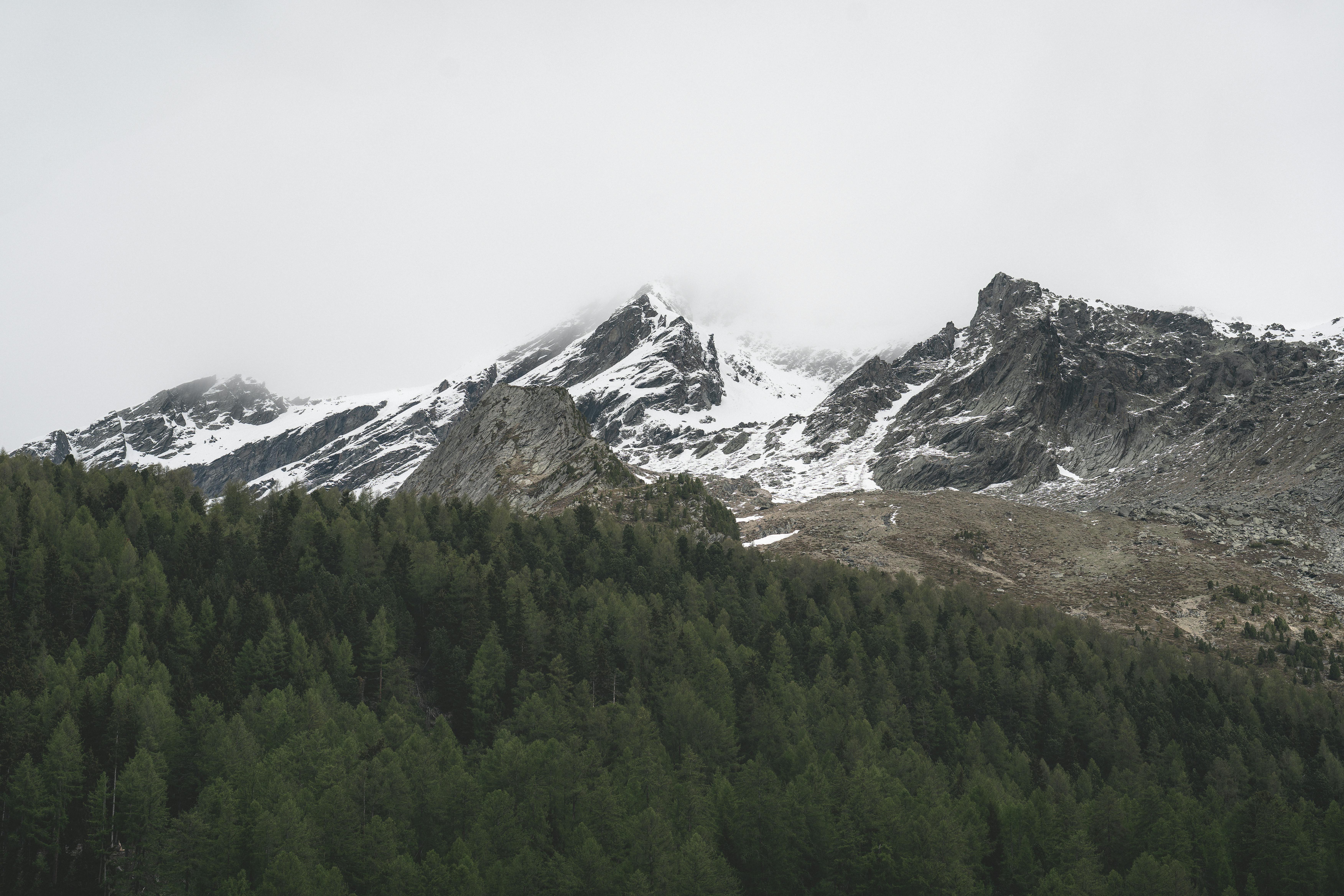 Snow Mist Overlay Photos, Download The BEST Free Snow Mist Overlay ...