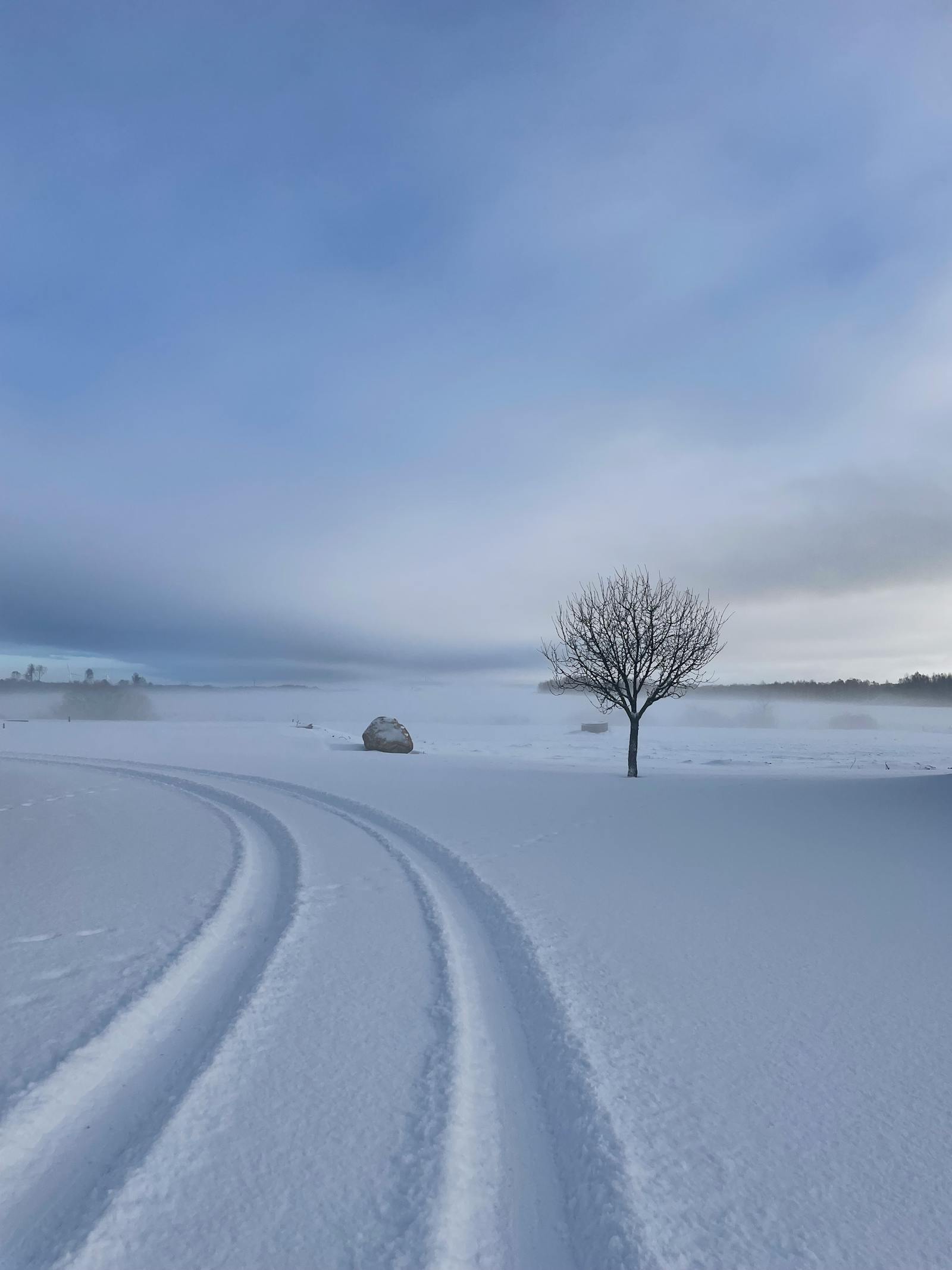 Snow Landscape Photos, Download The BEST Free Snow Landscape Stock ...
