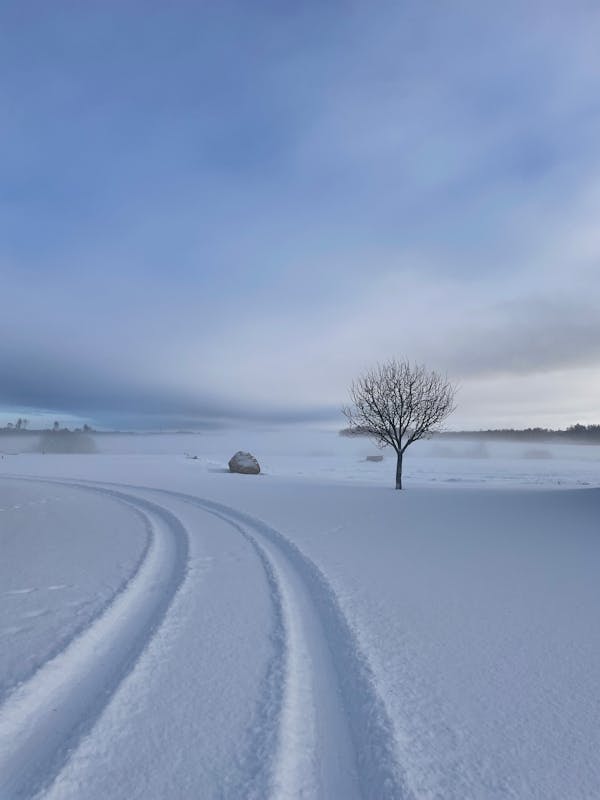 Snow Landscape Photos, Download The BEST Free Snow Landscape Stock ...