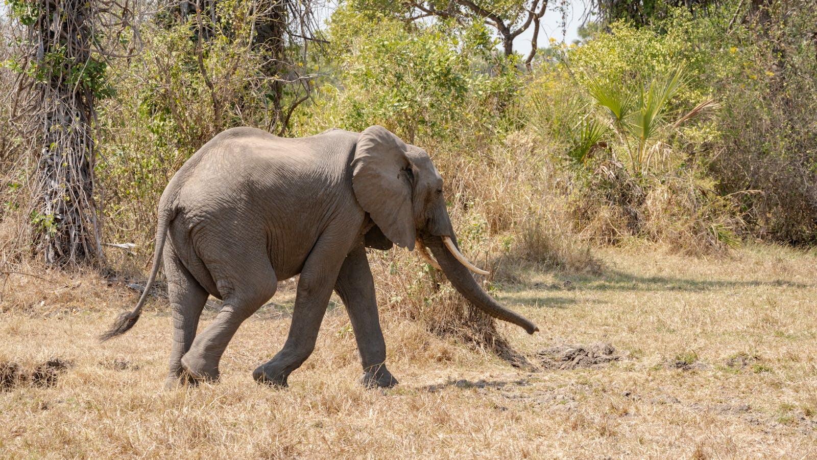 Free Pick Photos, Download The BEST Free Free Pick Stock Photos & HD Images