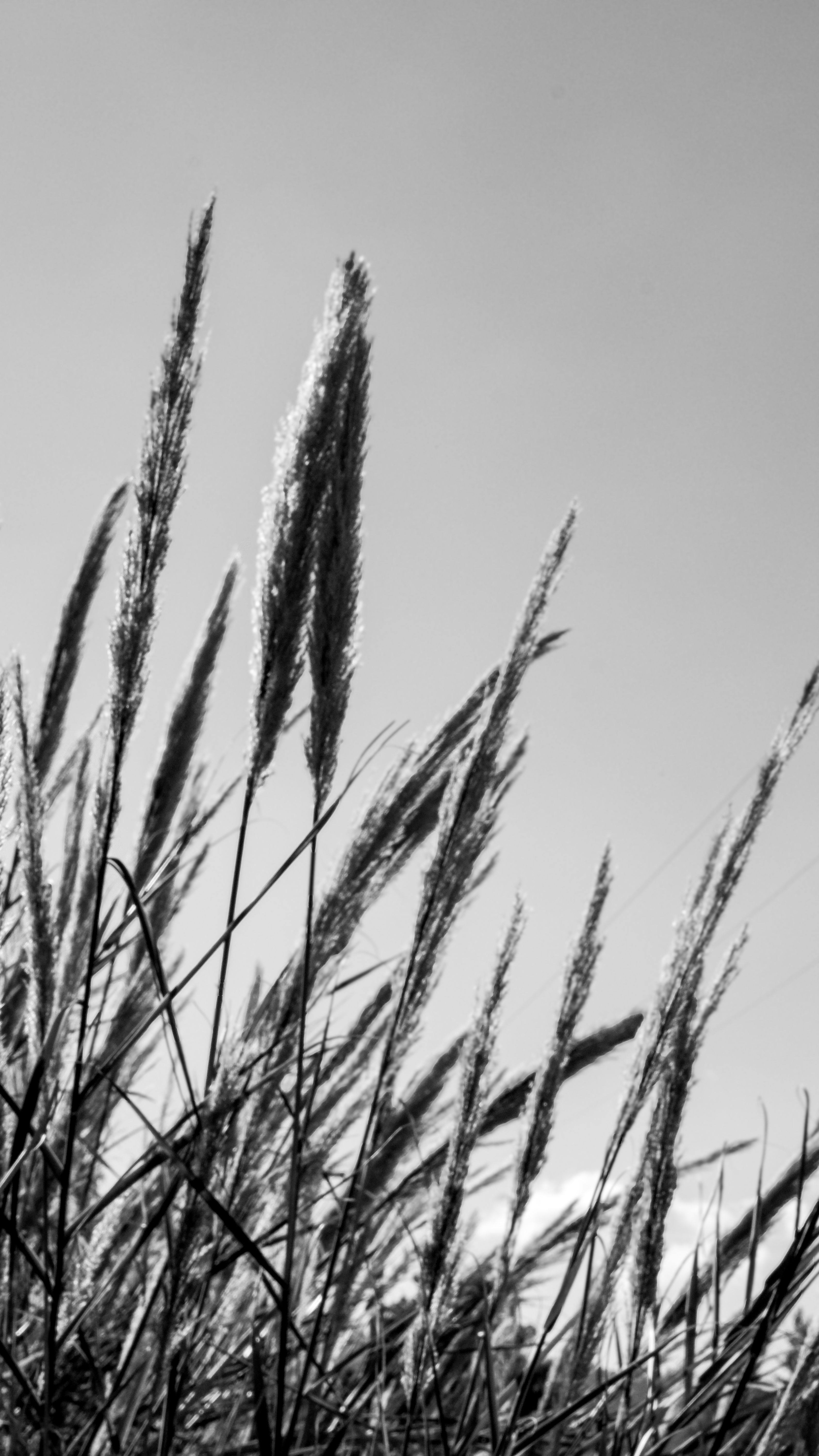 Vertical Photos, Download The BEST Free Vertical Stock Photos & HD Images