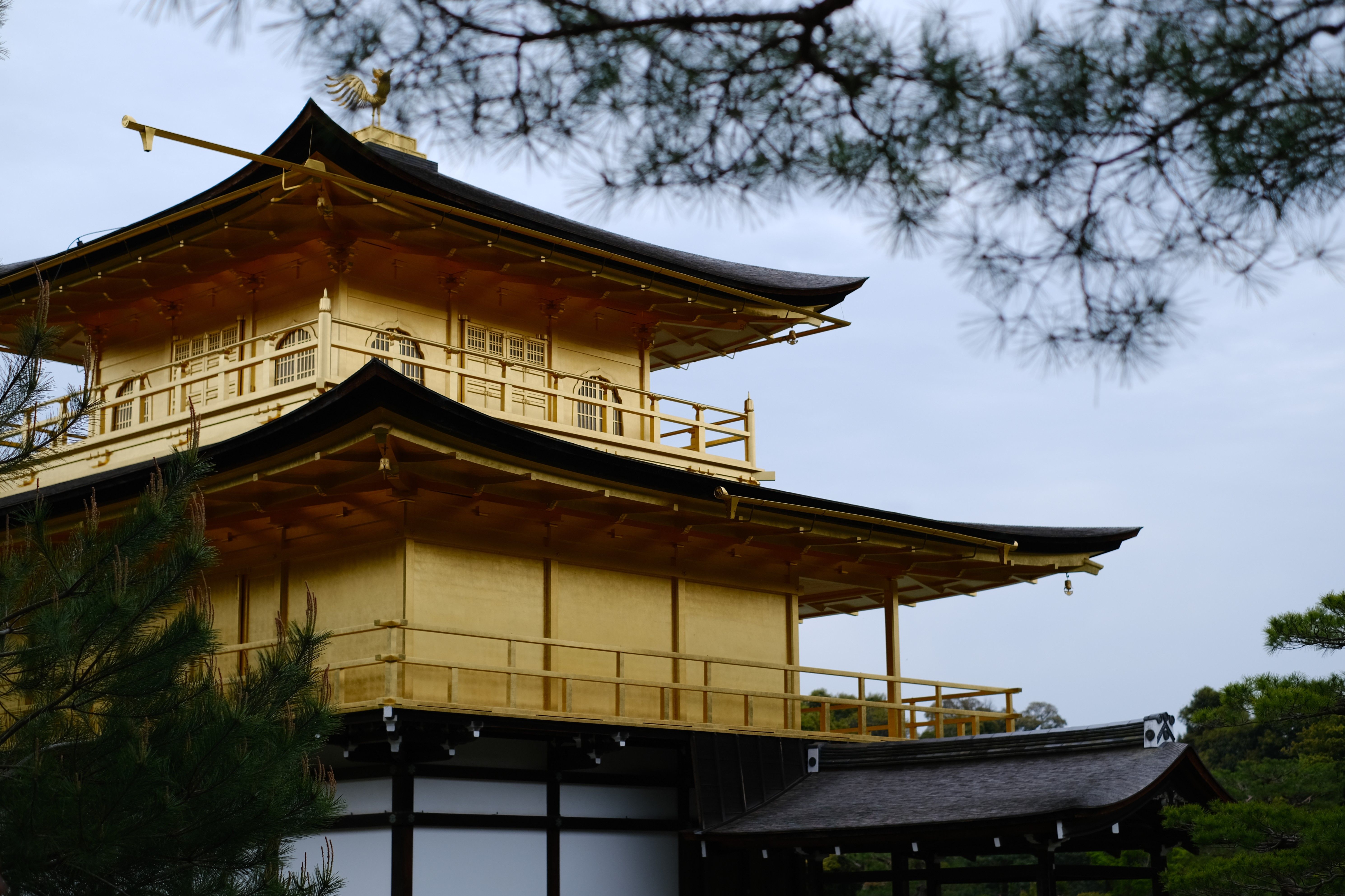 Golden Pavilion at Kinkaku-ji in Kyoto, Japan · Free Stock Photo
