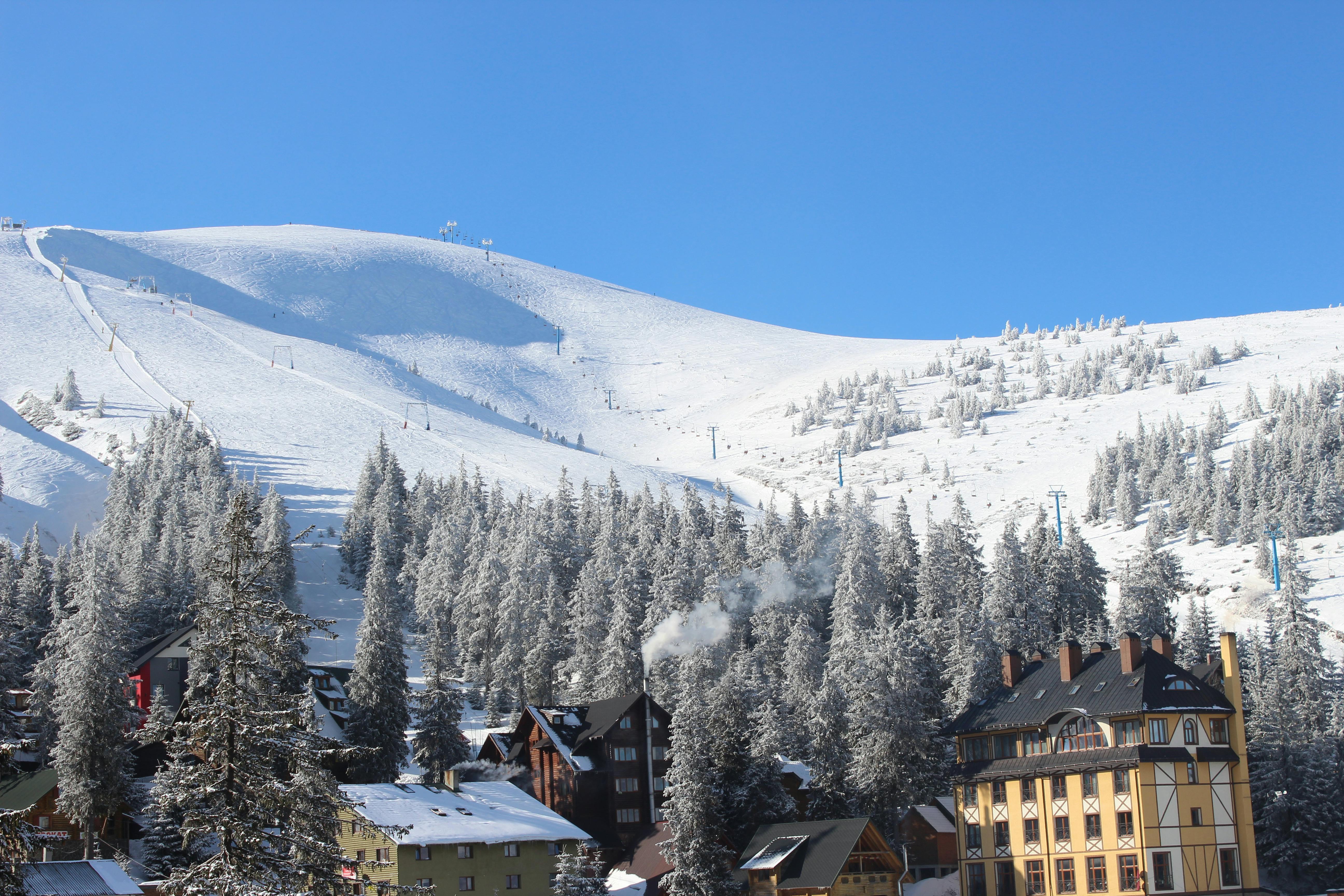 Winter Wonderland in Dragobrat, Ukraine · Free Stock Photo