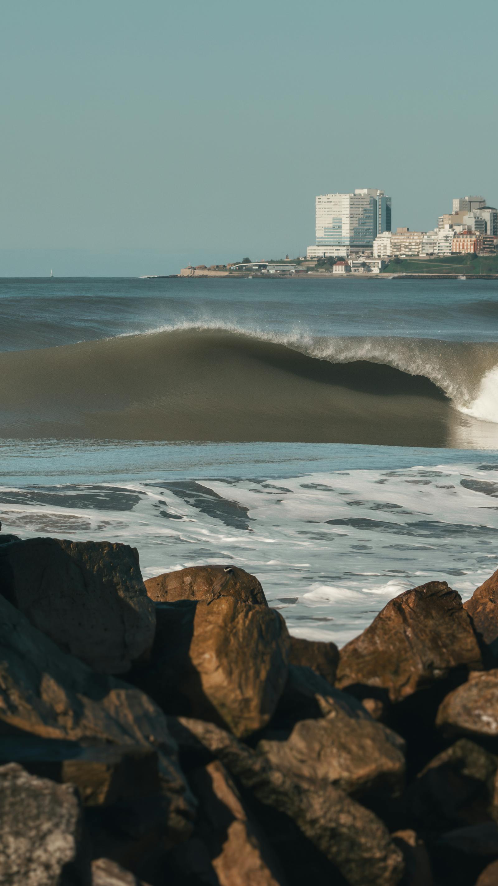 Vanessa+Del+Rio+Pictures Photos, Download The BEST Free Vanessa+Del+Rio ...