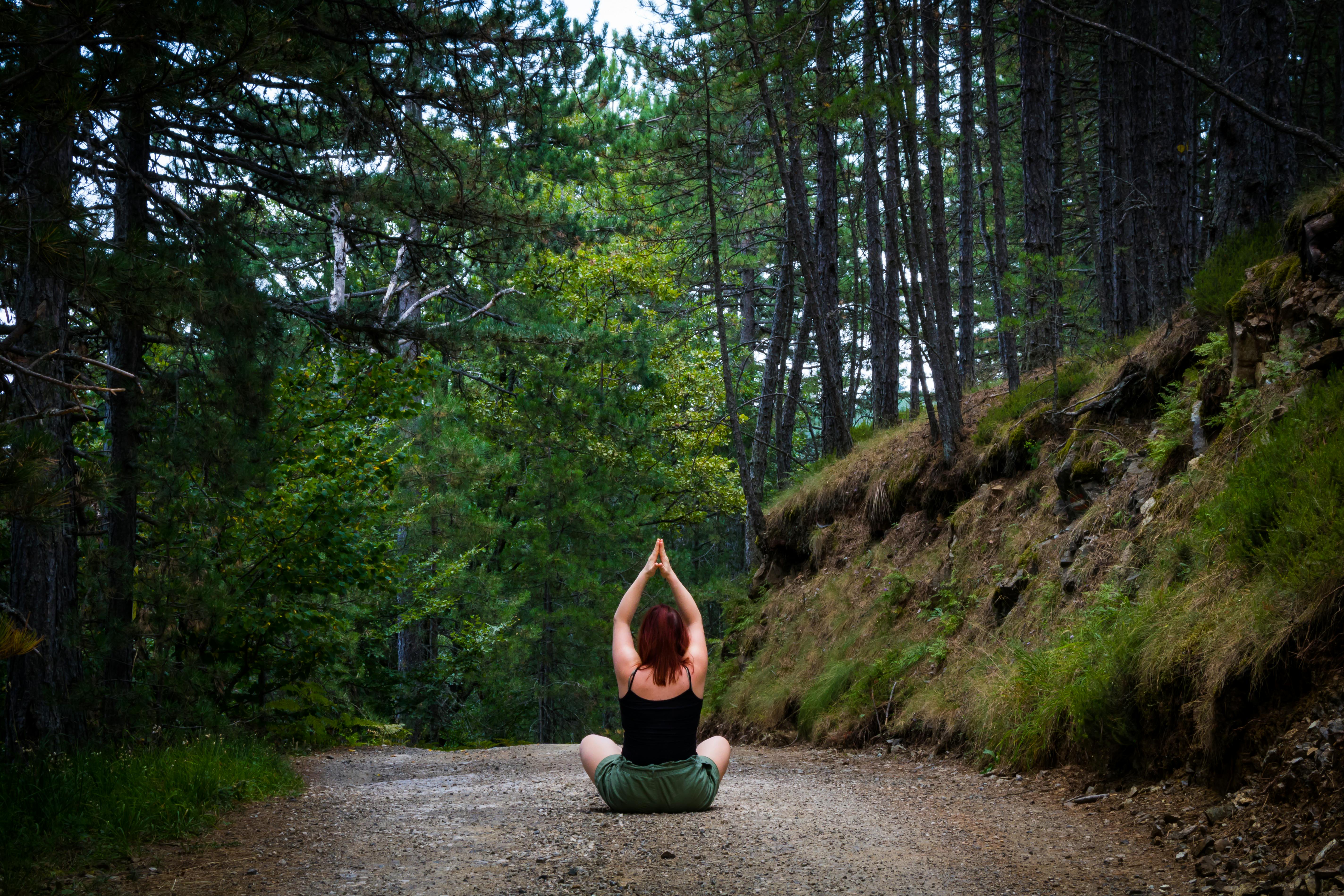 Djordje Ristic - 攝影