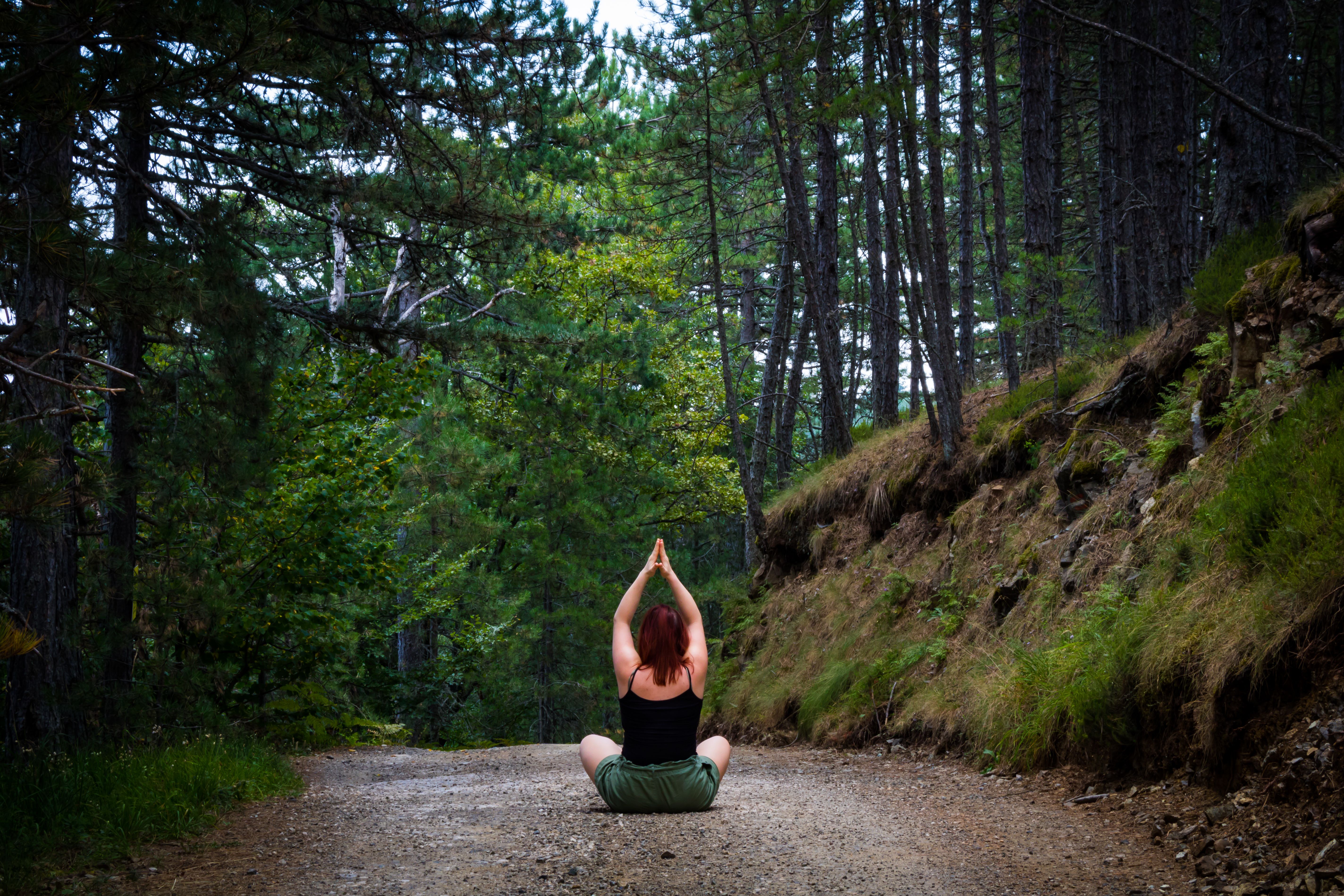 Serene Meditation in a Lush Forest Setting · Free Stock Photo