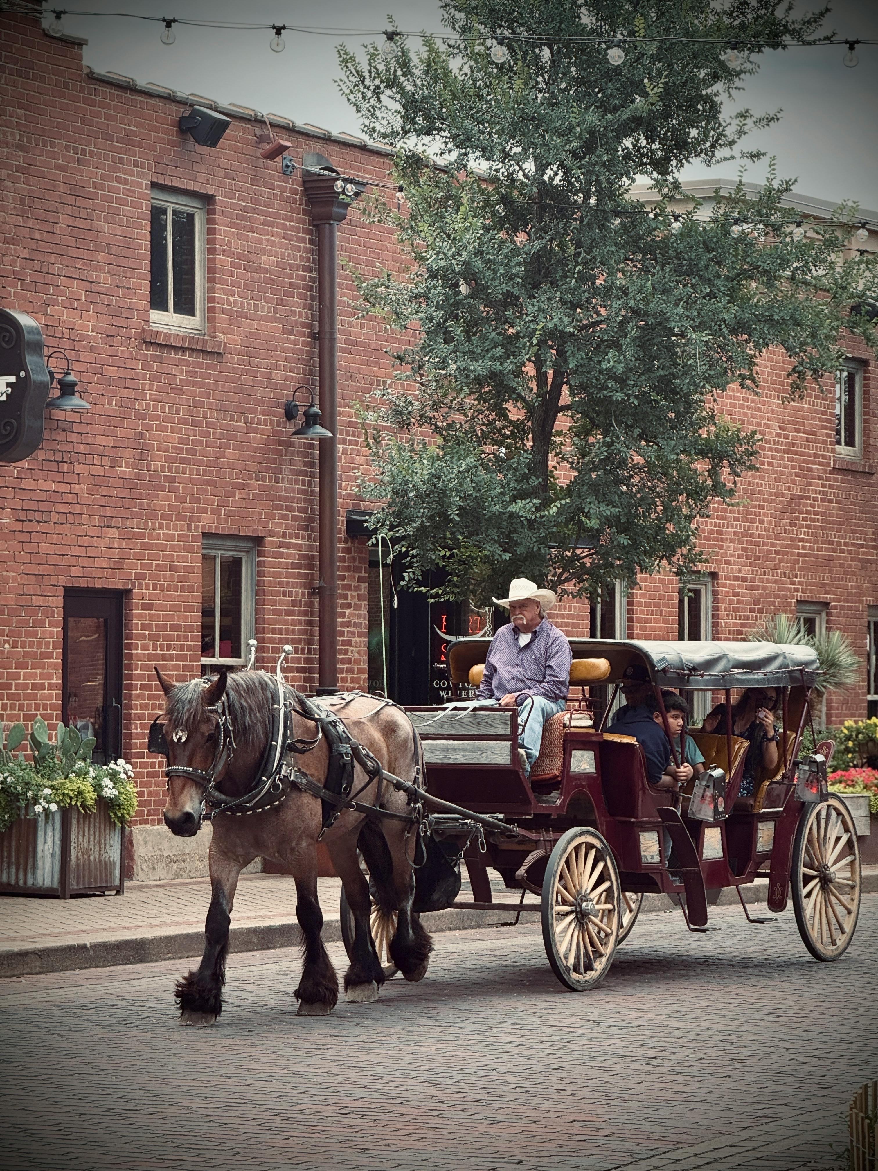 Driver Poster Photos, Download The BEST Free Driver Poster Stock Photos ...