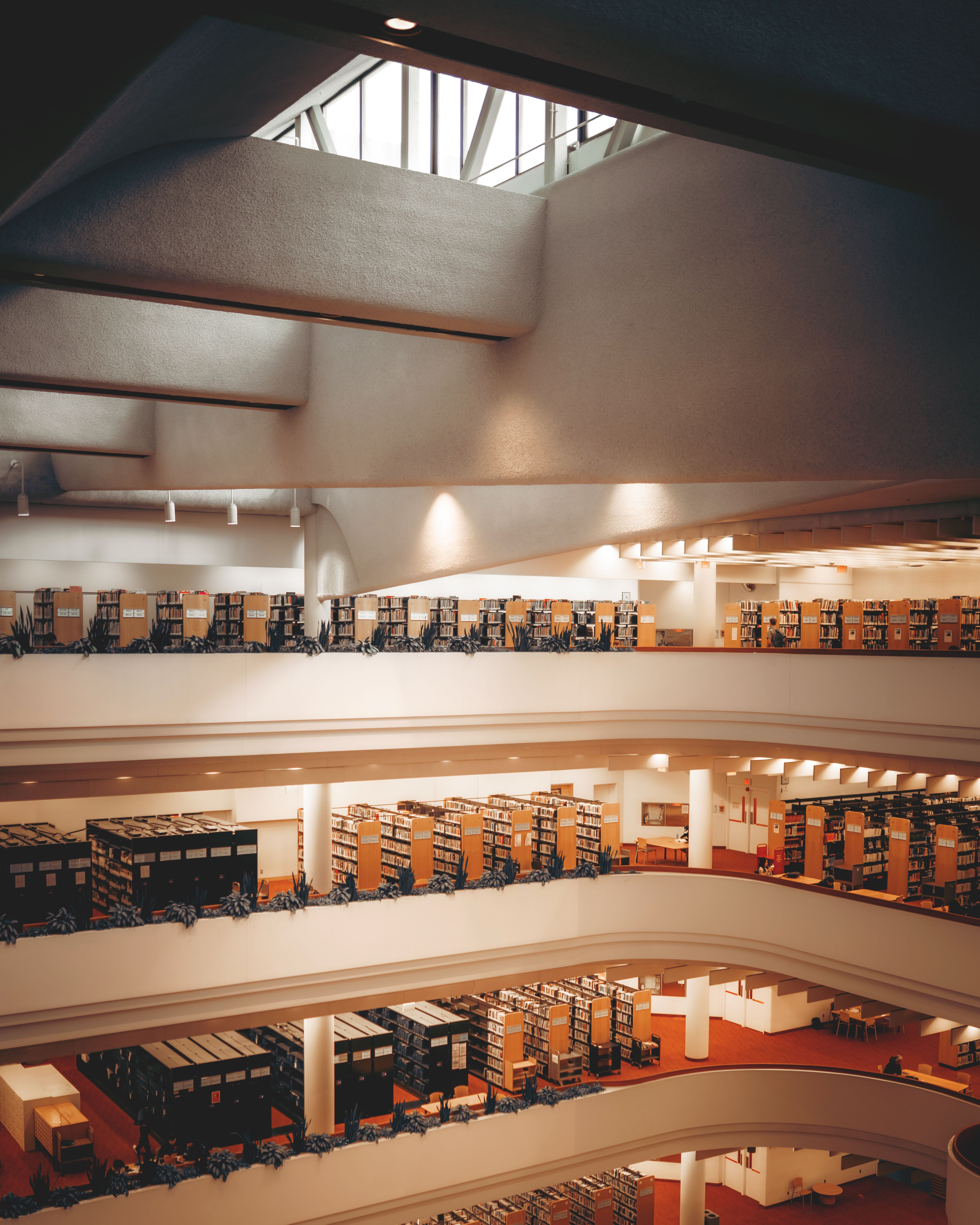 Modern Interior of Toronto Library · Free Stock Photo
