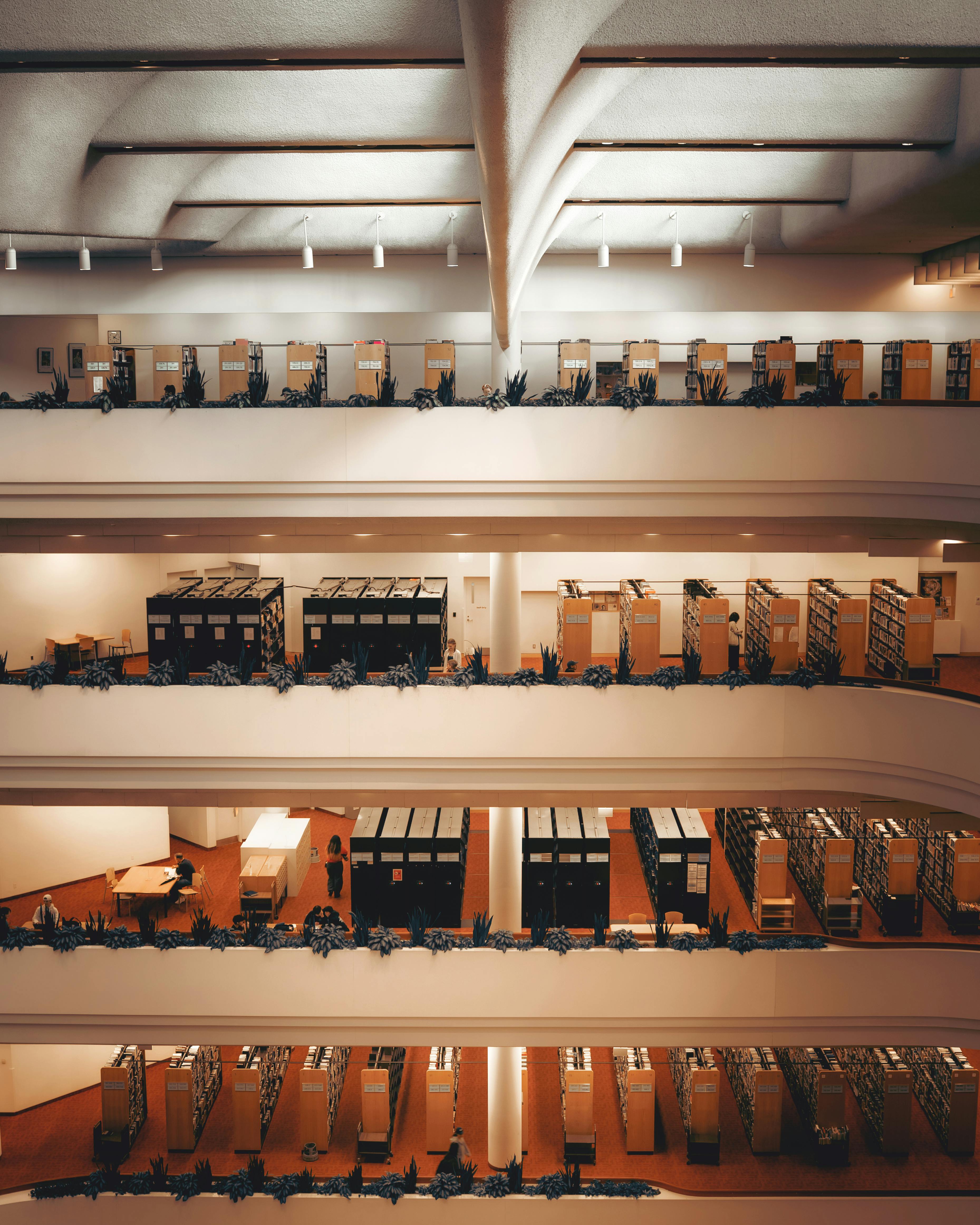 Library Floors Photos, Download The BEST Free Library Floors Stock Photos & HD Images