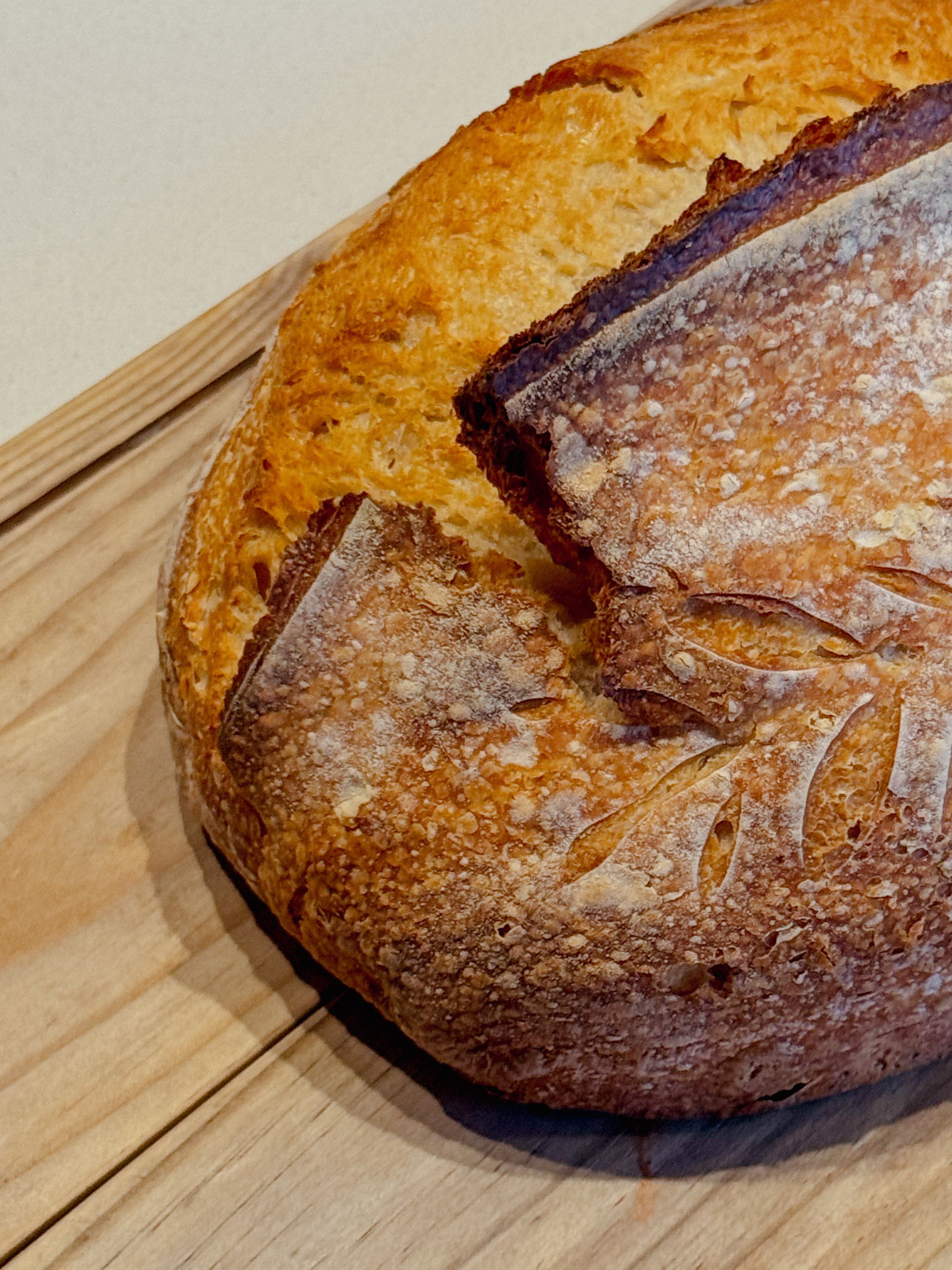 Close-Up of Freshly Baked Artisan Bread · Free Stock Photo