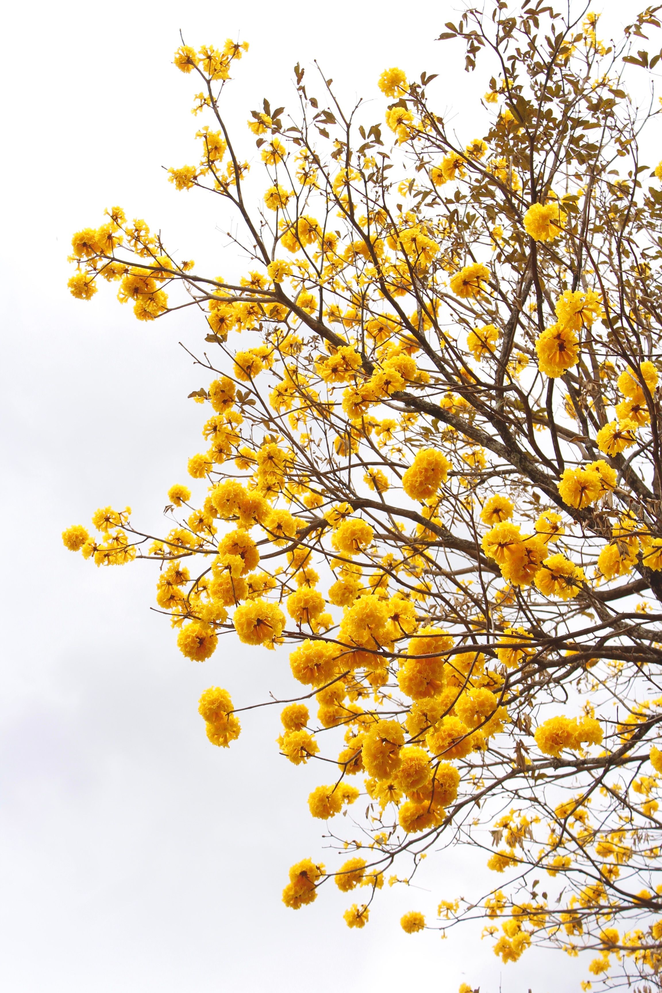 Spring Season Photos, Download The BEST Free Spring Season Stock Photos ...