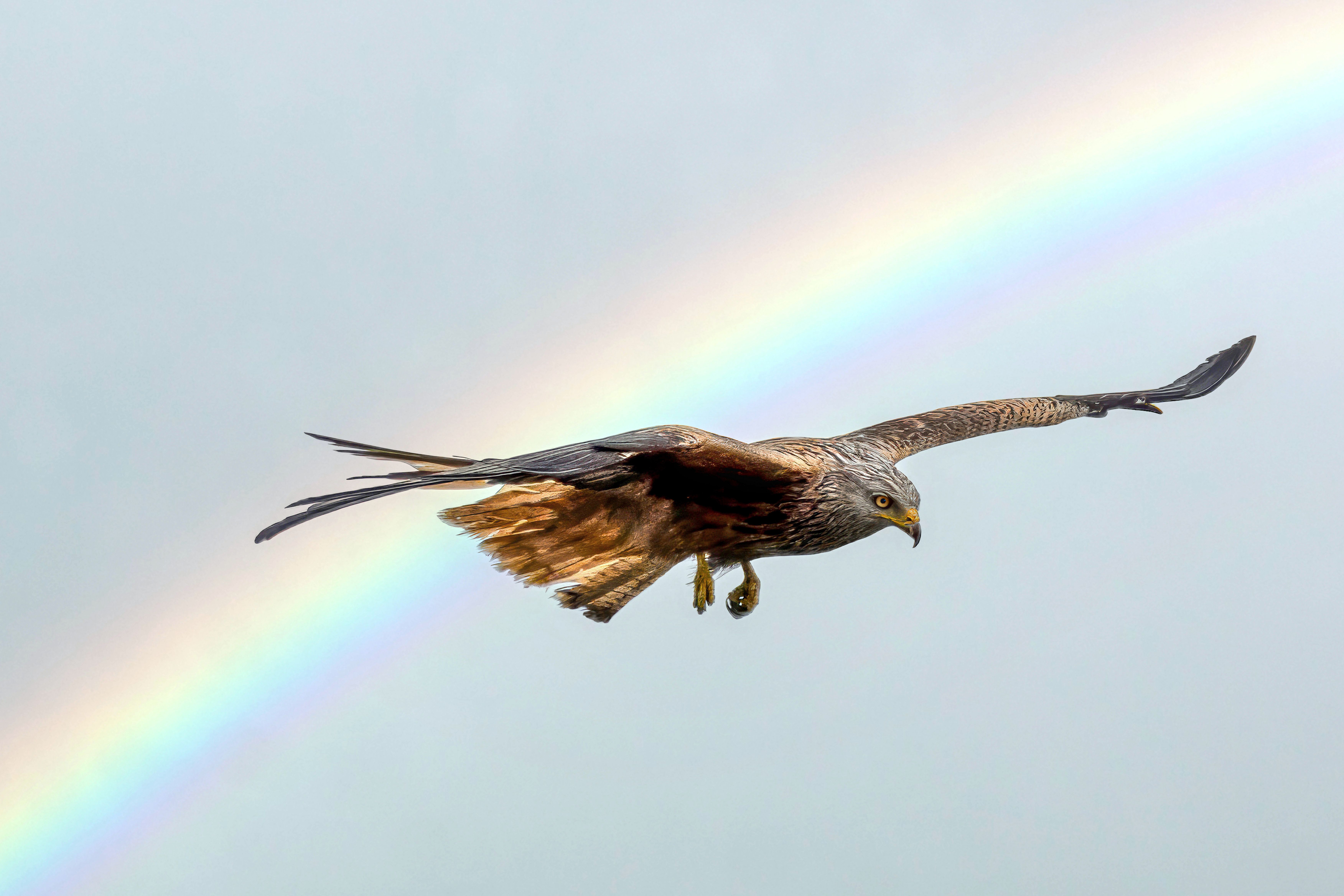 Beautiful Nature Rainbow Photos, Download The BEST Free Beautiful ...