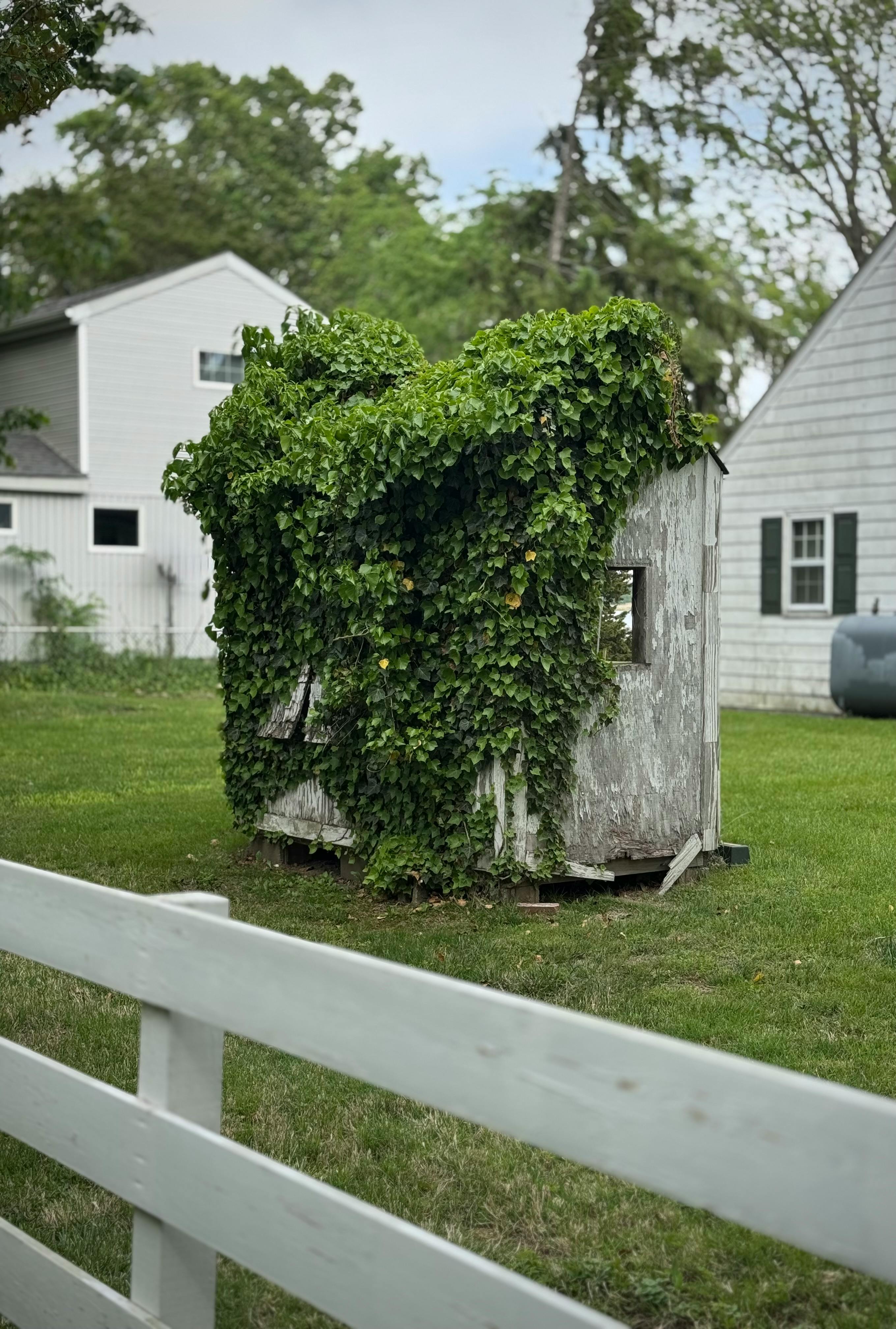 Madison Ivy Photos, Download The BEST Free Madison Ivy Stock Photos ...