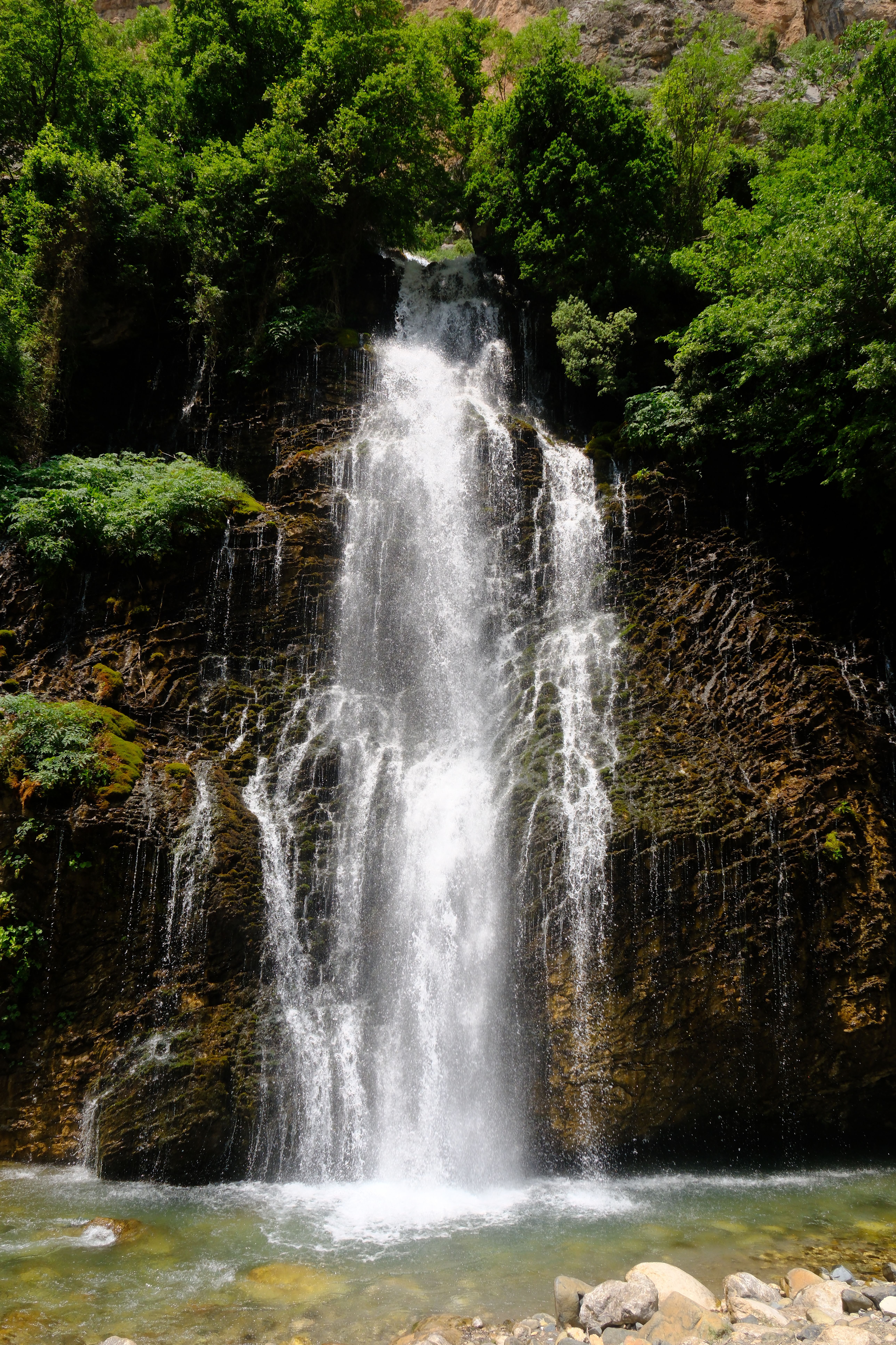 Natural Environment With Water Photos, Download The BEST Free Natural ...